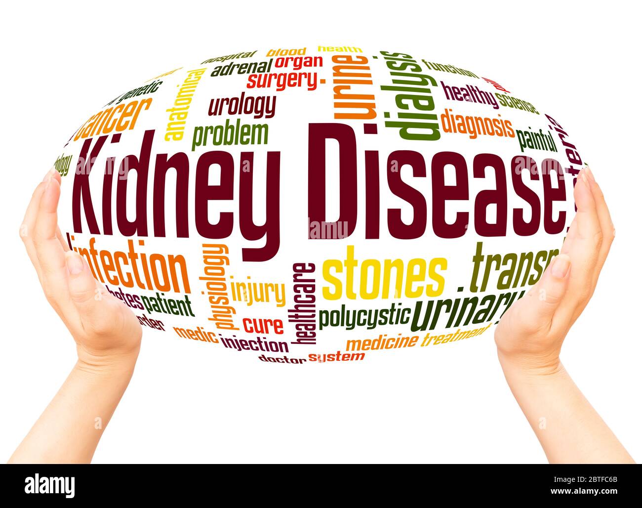 Kidney Disease word hand sphere cloud concept on white background Stock ...