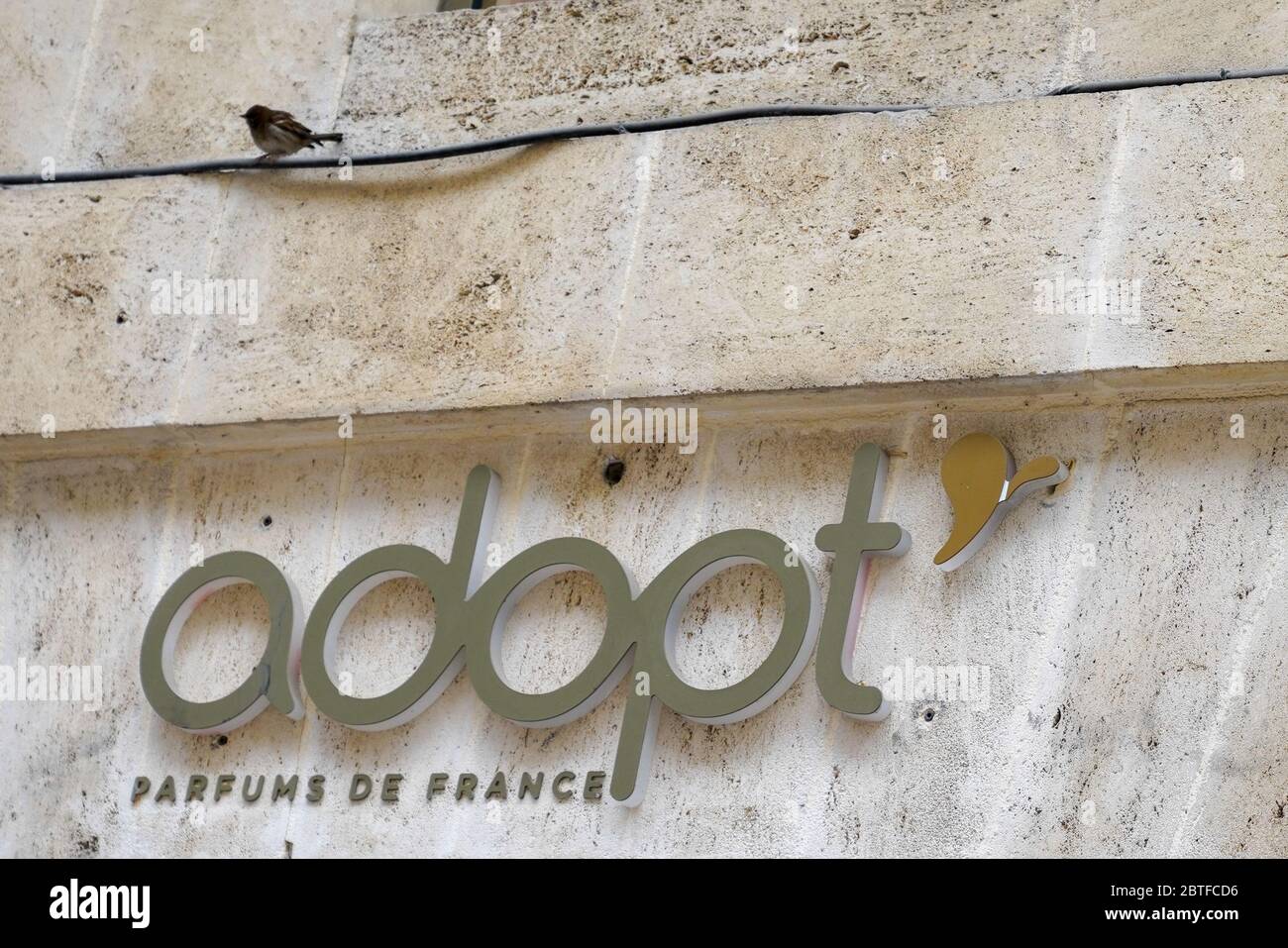 Adopt and name hi-res stock photography and images - Alamy