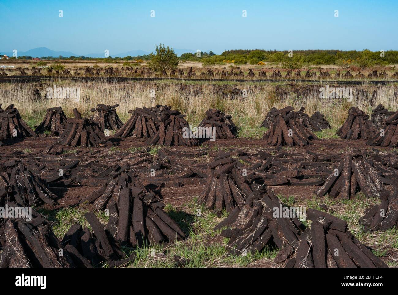 Turf bricks hi-res stock photography and images - Alamy