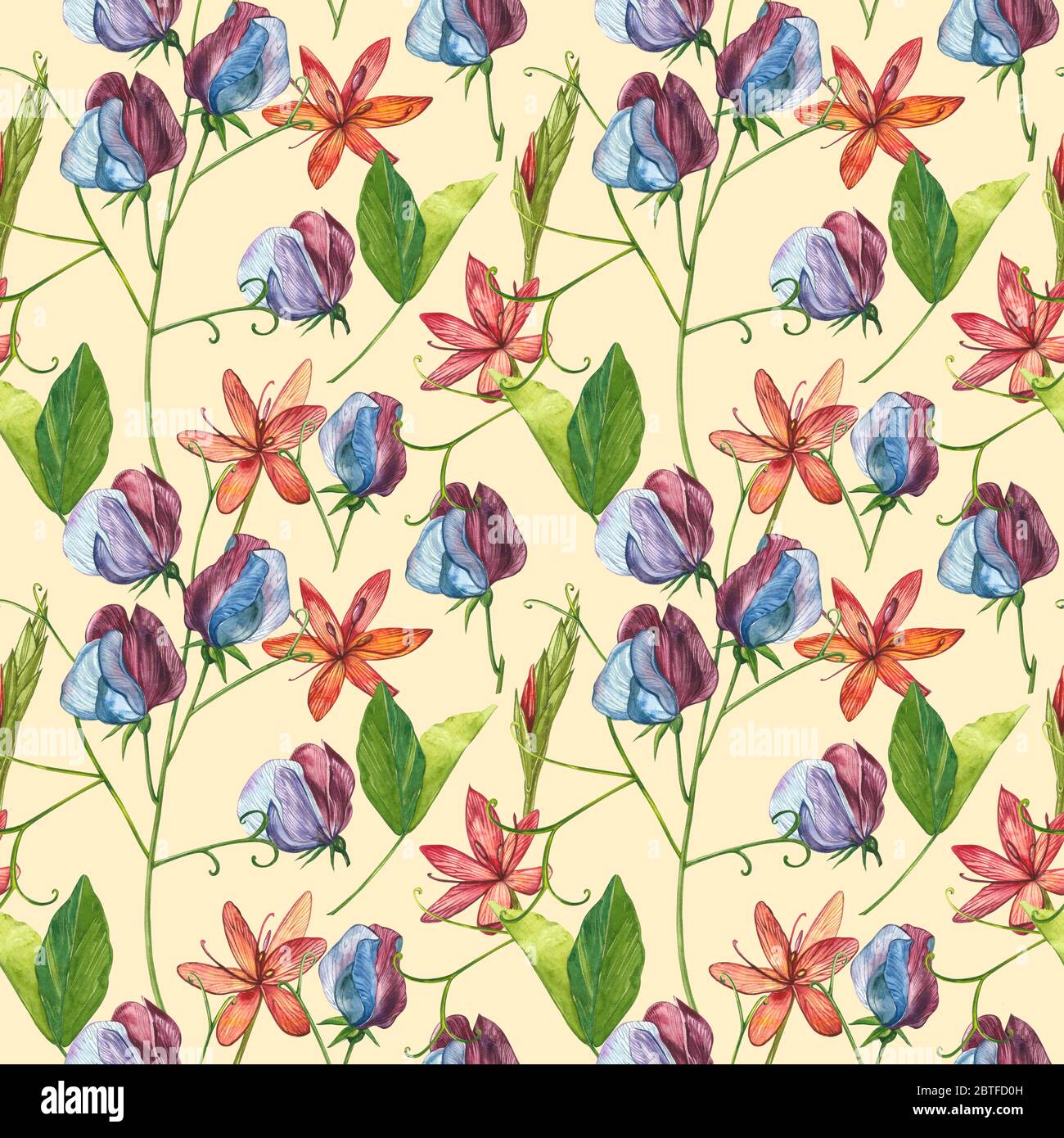 Seamless patterns. Watercolor set of Sweet Peas flowers and leaves ...