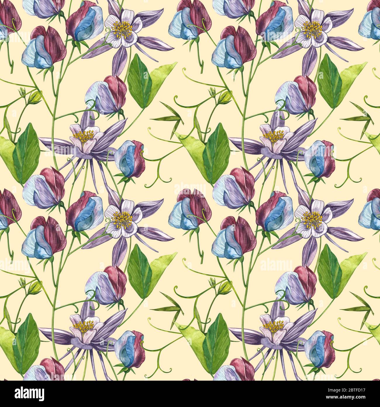 Seamless patterns. Watercolor set of Sweet Peas flowers and leaves ...