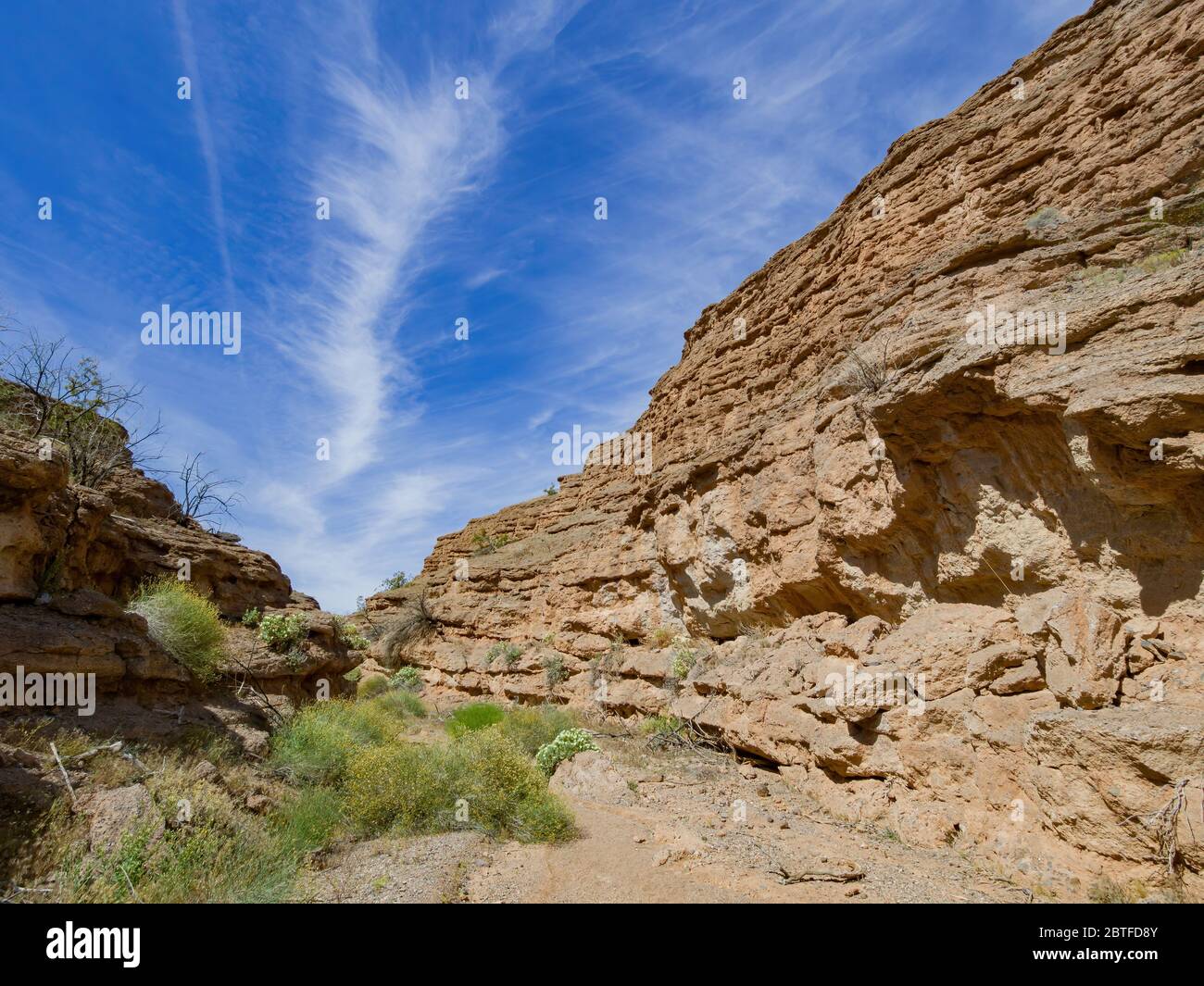 Beautiful along the famous White Owl Canyon trail at Lake Mead, Nevada ...