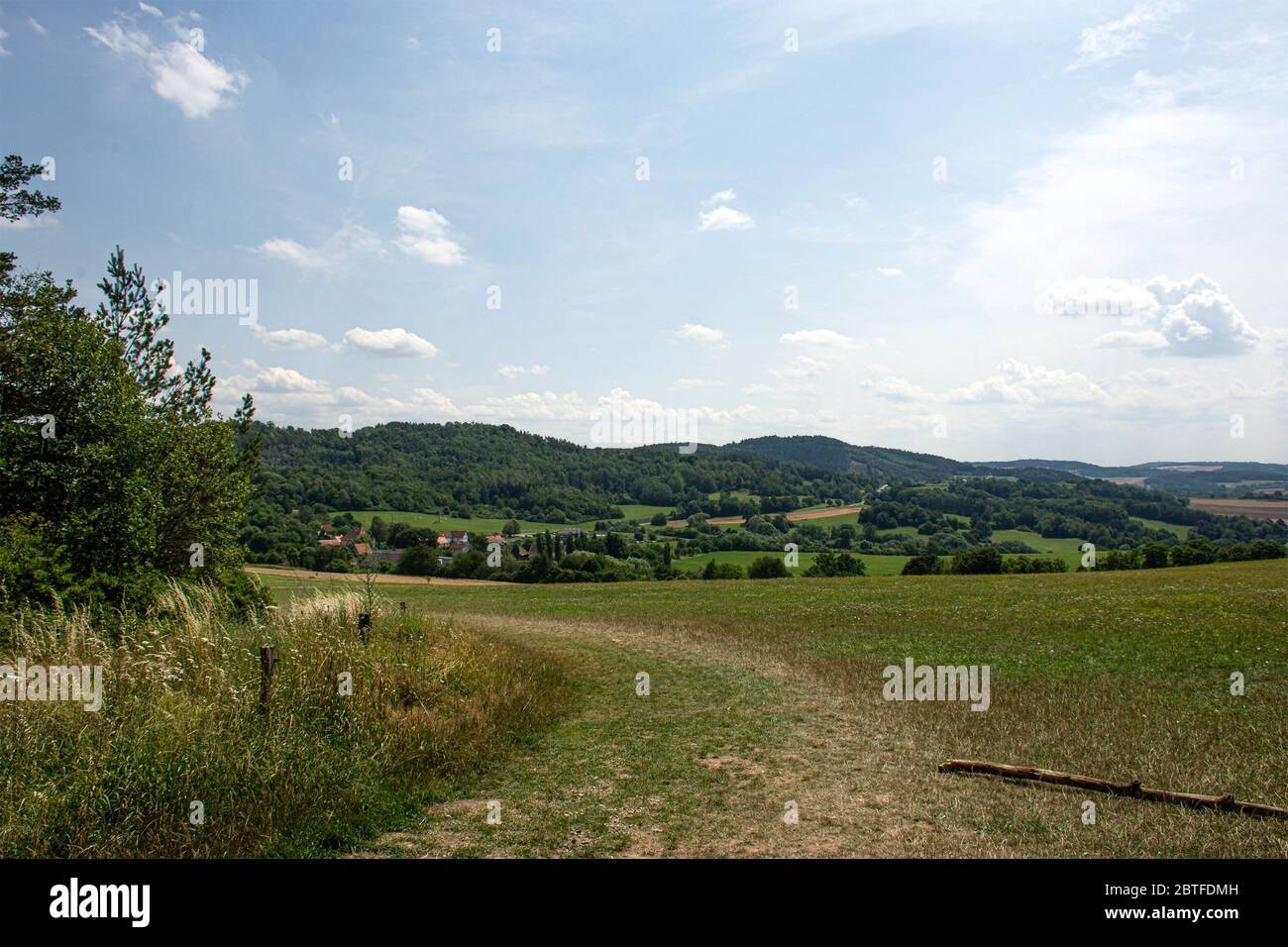 Summer country road and snag of wood Stock Photo - Alamy