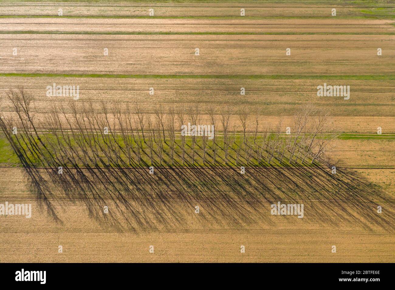 Stymphalia hi-res stock photography and images - Alamy