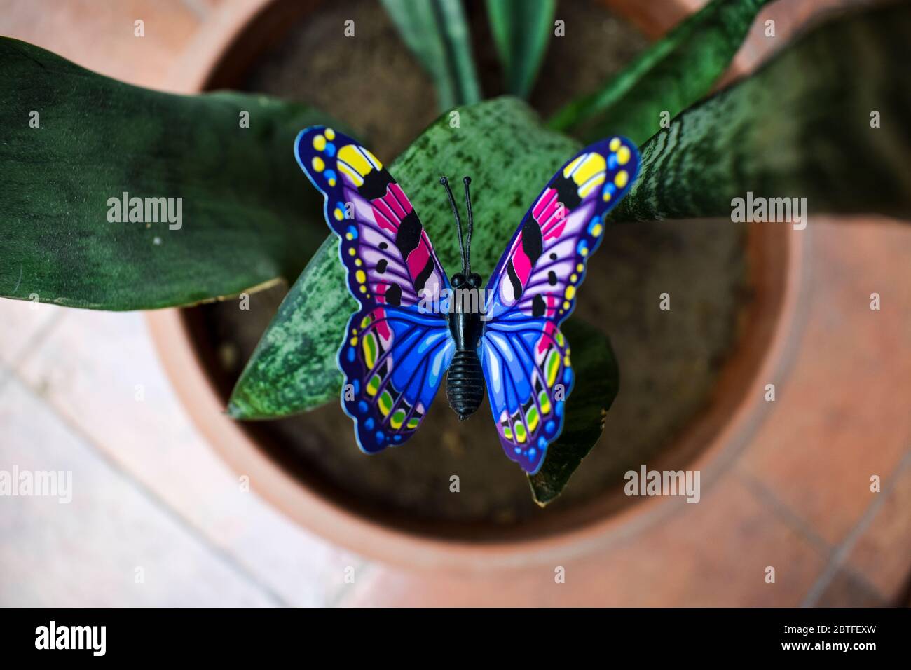 Cute blue and yellow diy butterfly, Artificial fake plastic butterfly ...