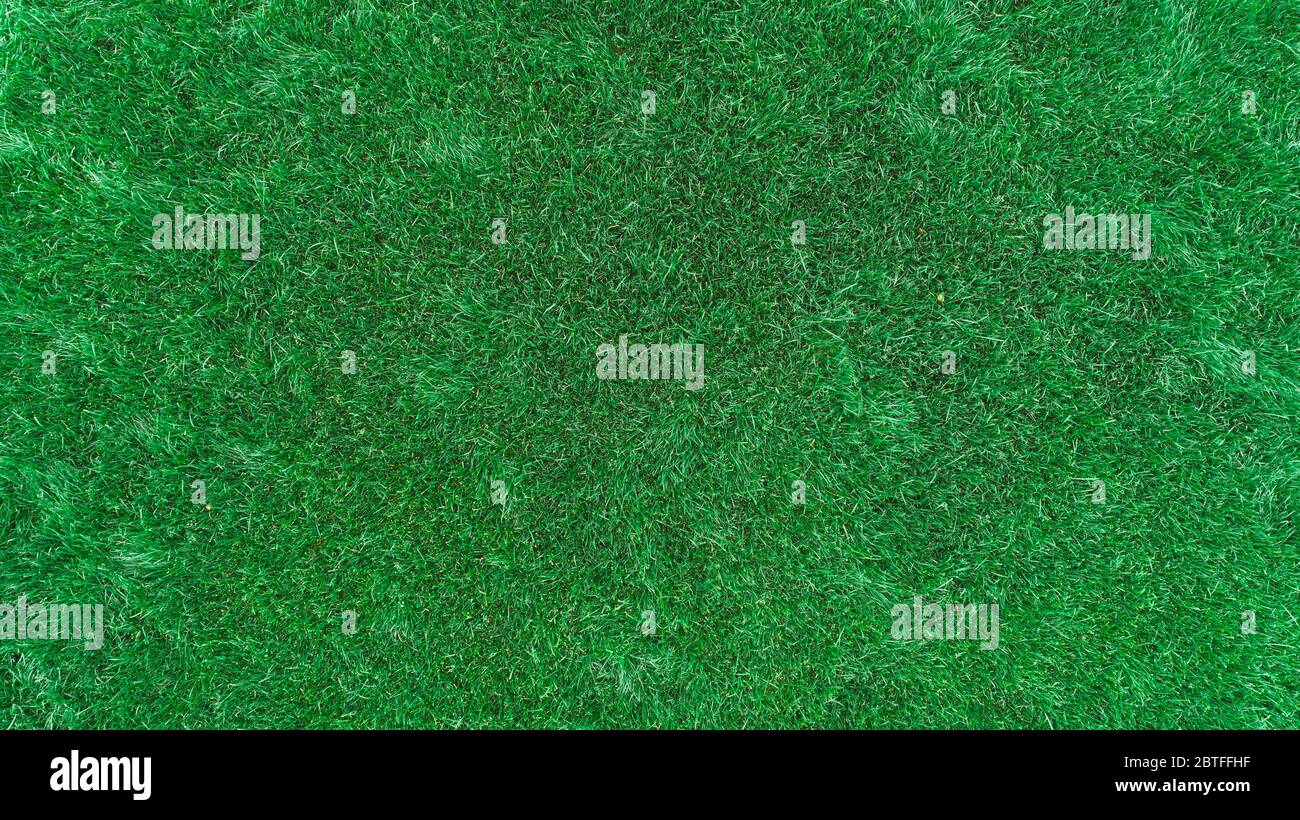 Beautiful green grass texture. Emerald lawn near the house Stock Photo ...