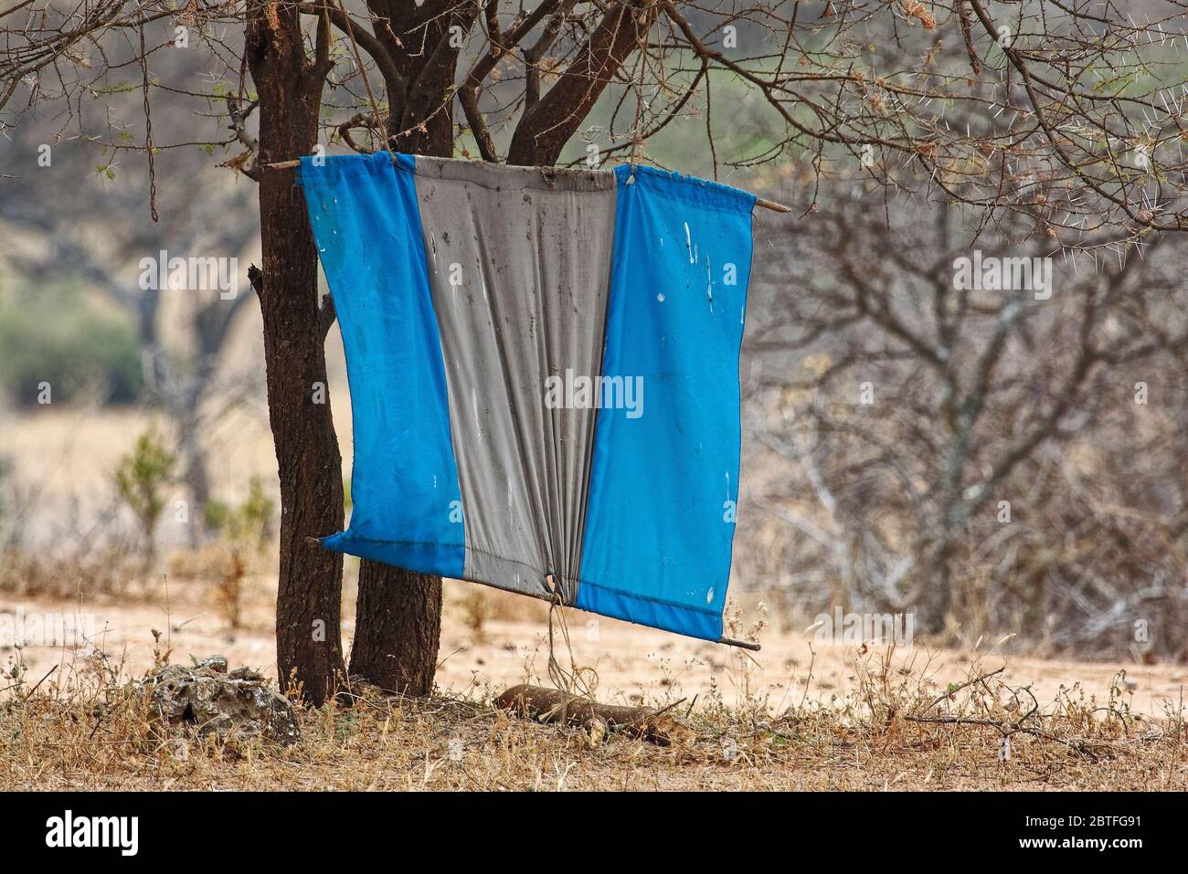 3 panel banner, fabric, hanging on sticks, tattered, grey, royal blue ...