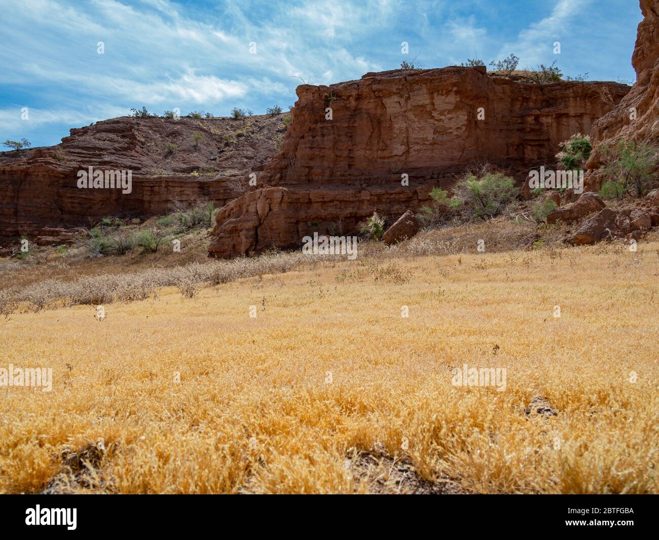 Beautiful along the famous White Owl Canyon trail at Lake Mead, Nevada ...