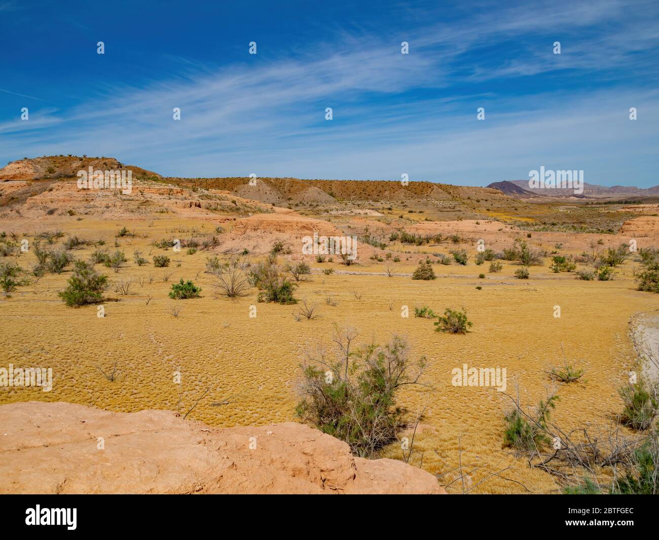 Beautiful along the famous White Owl Canyon trail at Lake Mead, Nevada ...