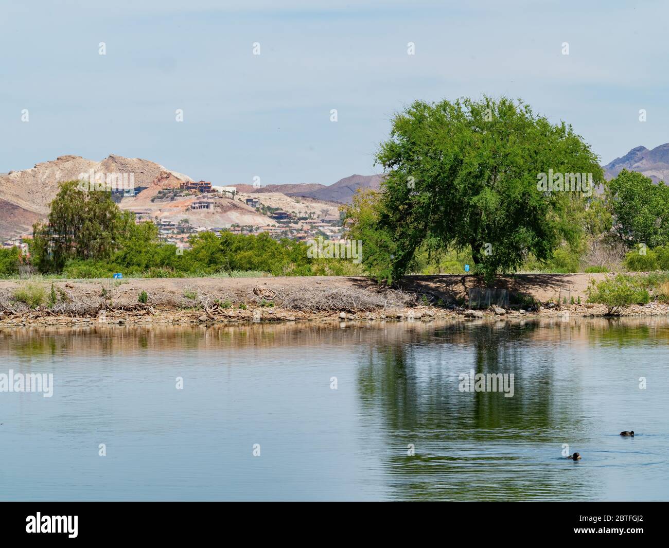 Beautiful landscape henderson bird viewing hi-res stock photography and ...