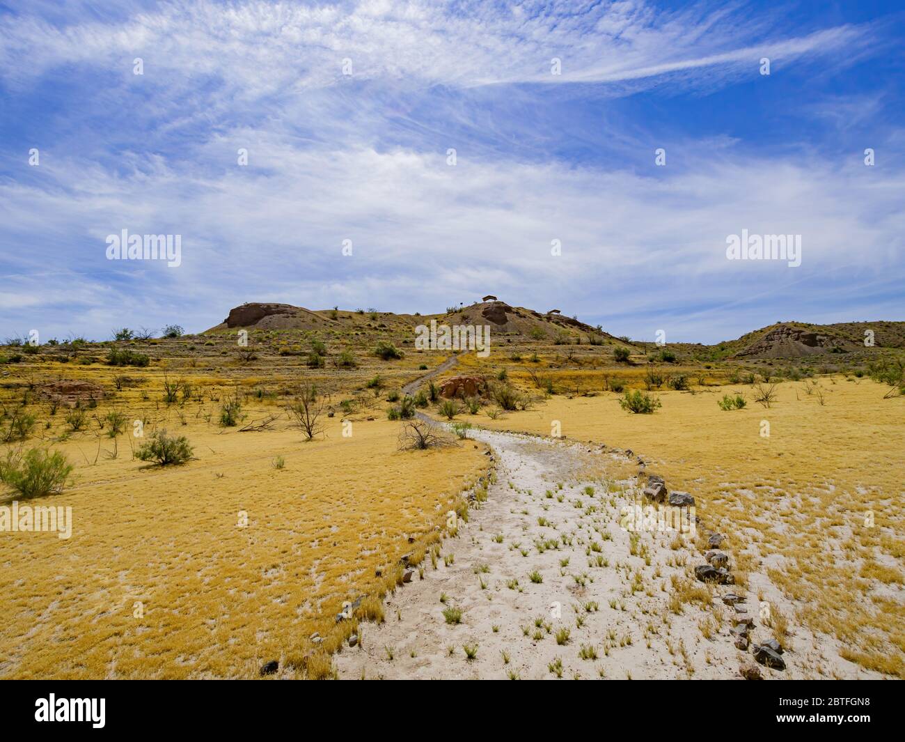 Beautiful along the famous White Owl Canyon trail at Lake Mead, Nevada ...