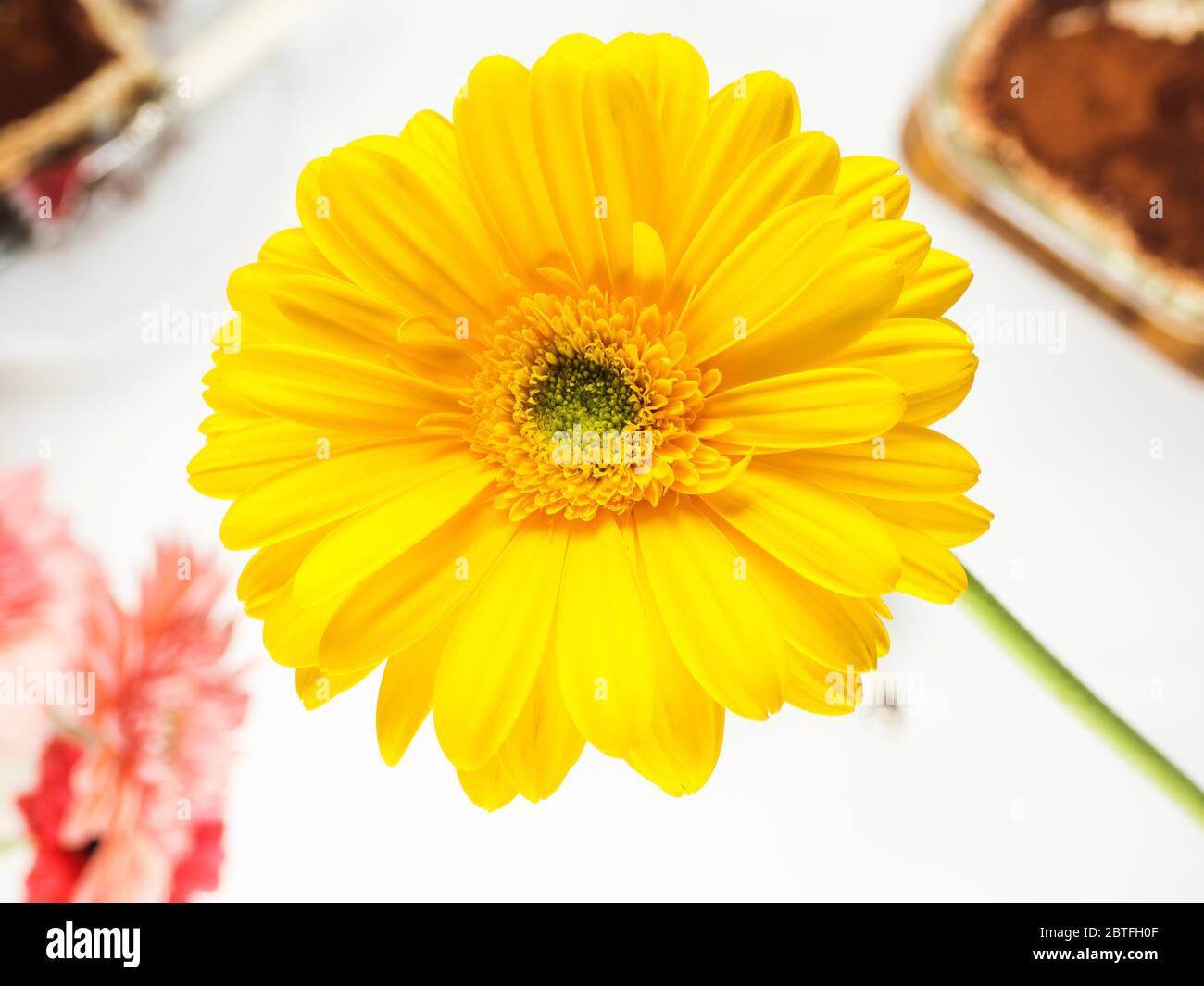 Yellow flower over table with dessert food Stock Photo - Alamy