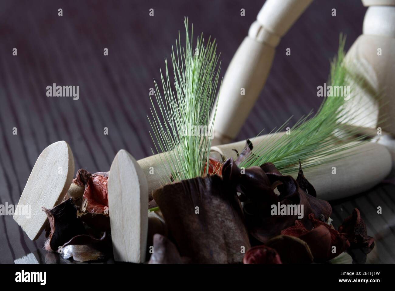 Stalk anatomy hi-res stock photography and images - Alamy
