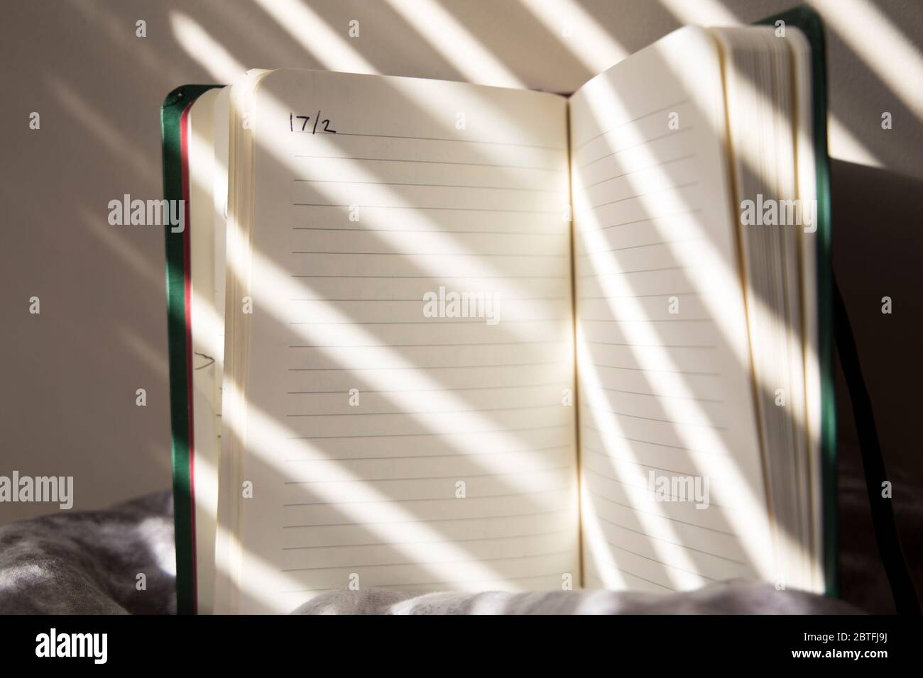 Journal Entry Backgrounds