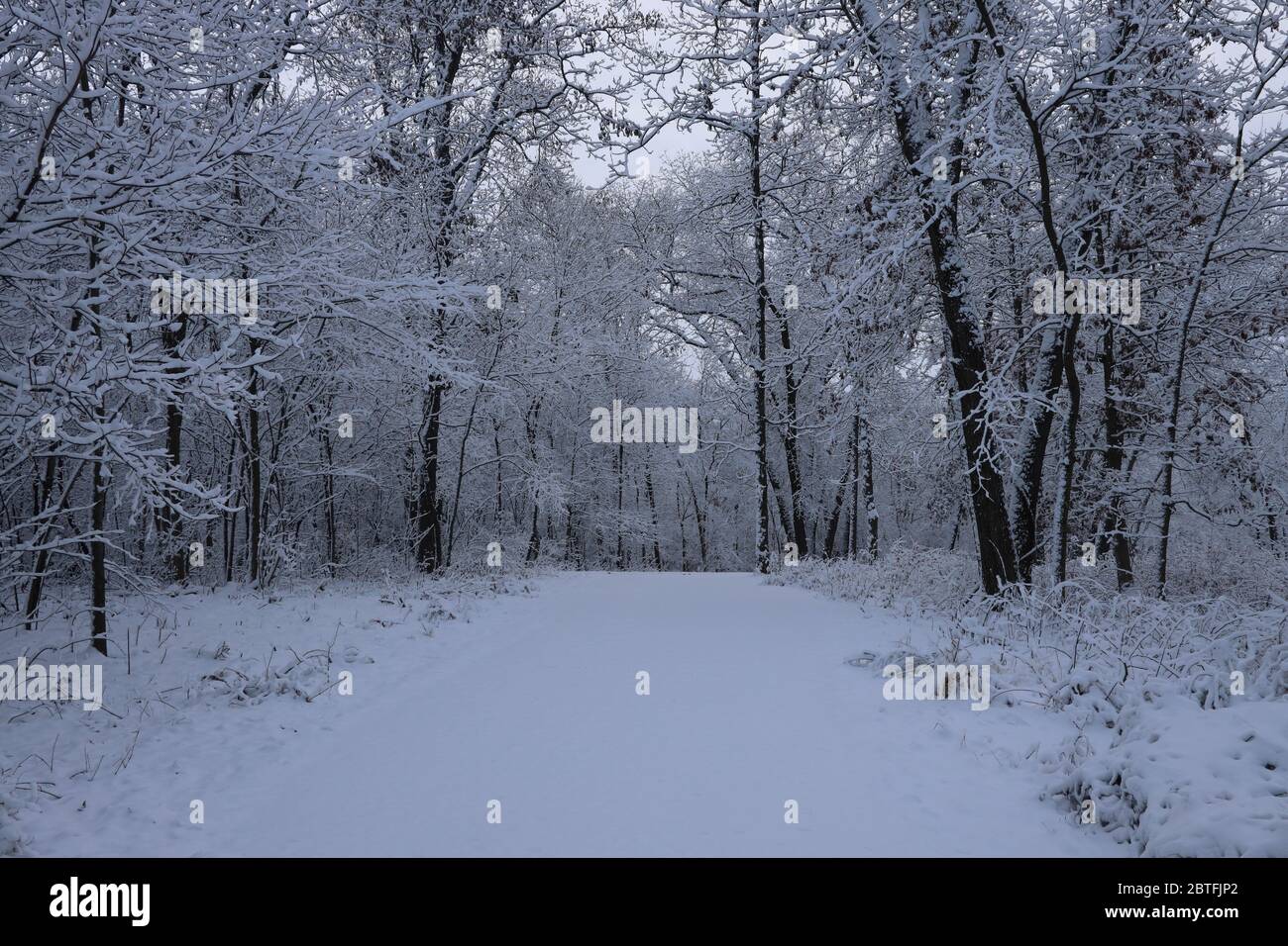 Wisconsin Winter Wonderland Stock Photo - Alamy