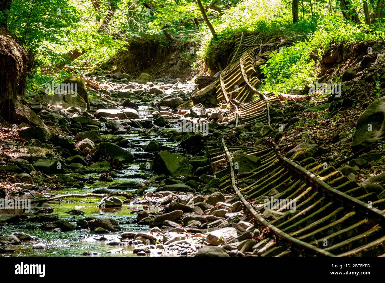 Vintage train tracks in forest hi-res stock photography and images - Alamy
