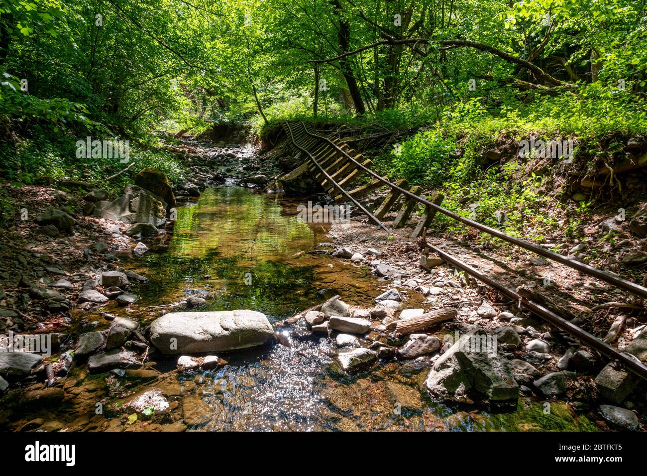 Vintage train tracks in forest hi-res stock photography and images - Alamy