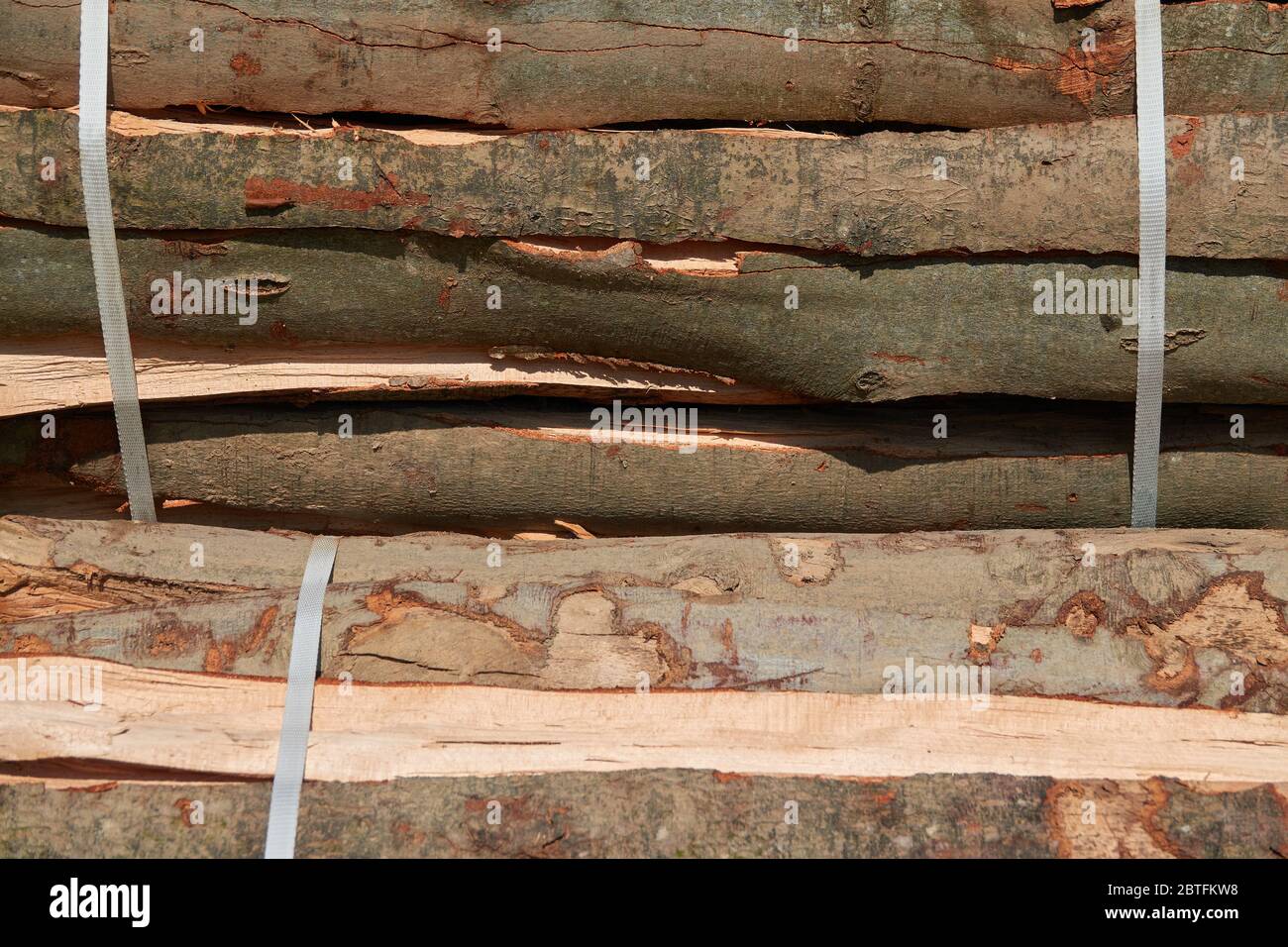 Long firewood neatly stacked and tied together into a bundle, close-up ...