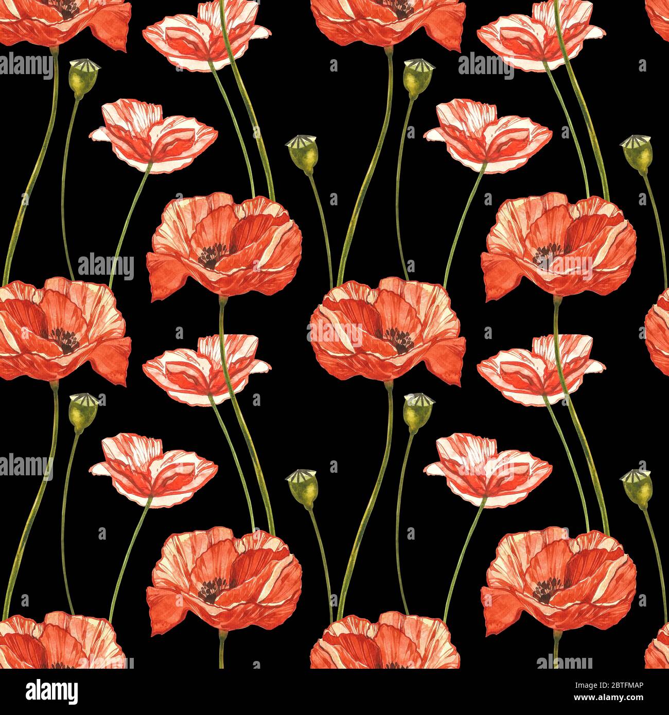 Watercolor red poppies. Seamless patterns. Wild flower set isolated on ...