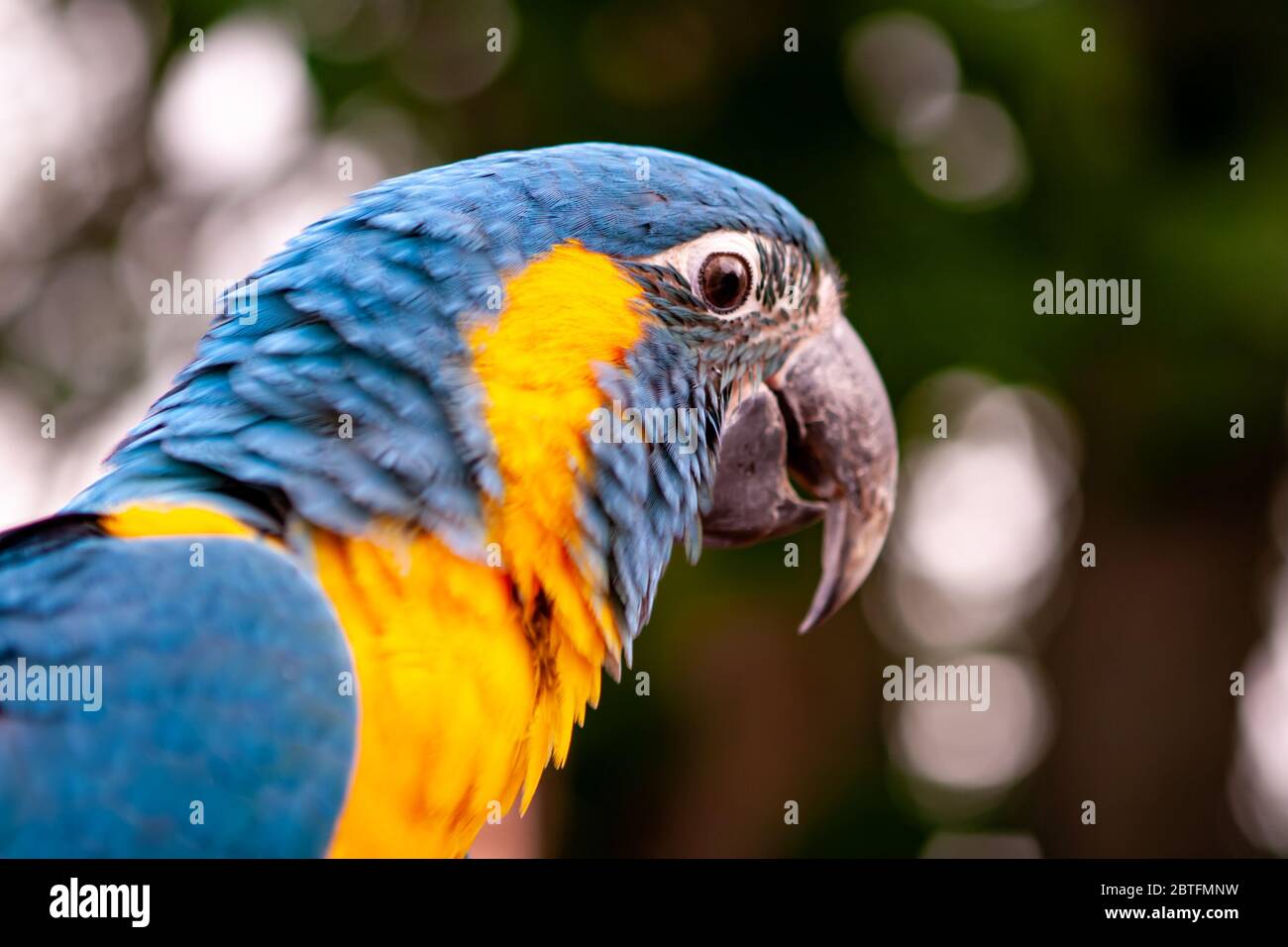 Closeup view teal colored hi-res stock photography and images - Alamy