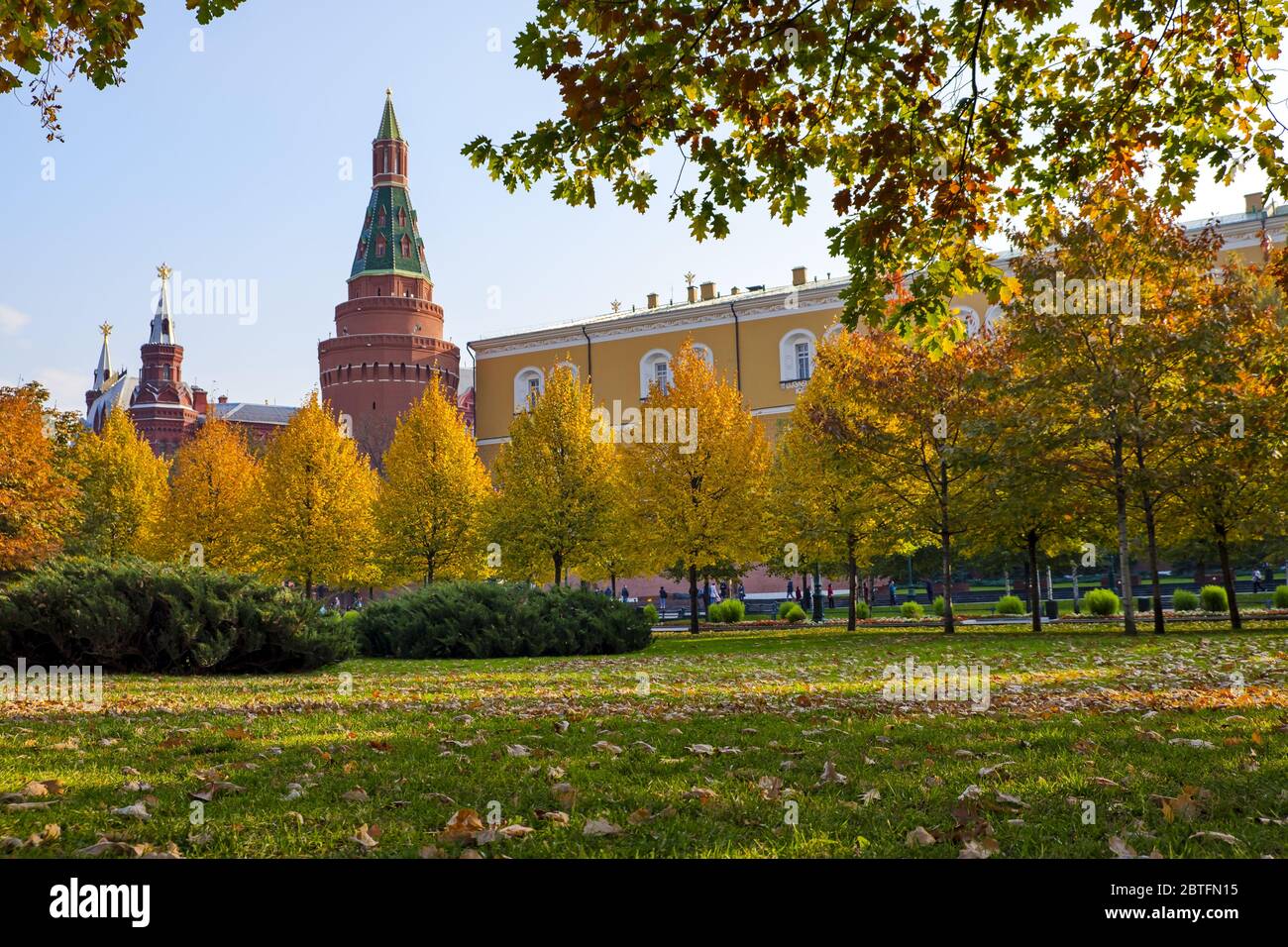 Alexander leaf hi-res stock photography and images - Alamy