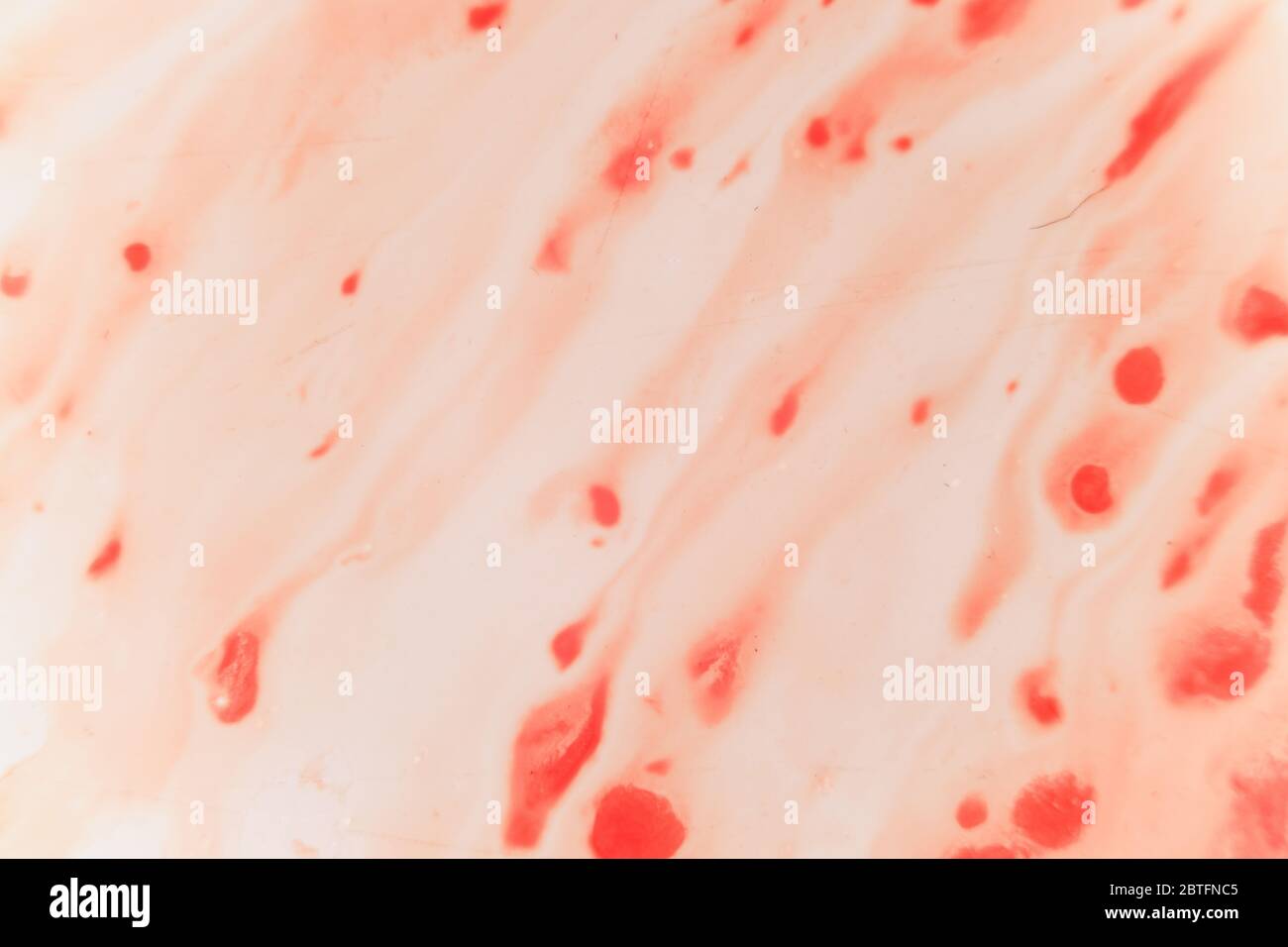 Fresh red blood splat on white porcelain with specks from the impact ...