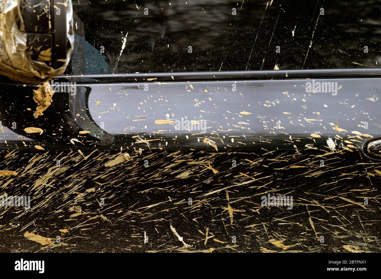 Dried mud body hi-res stock photography and images - Alamy