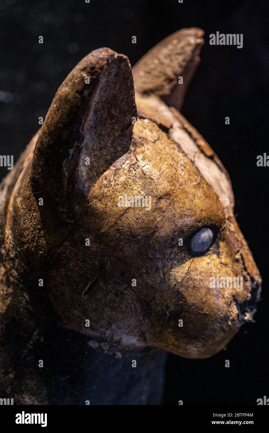 votive vows, which contained a cat mummy, Gregorian Egyptian Museumn ...