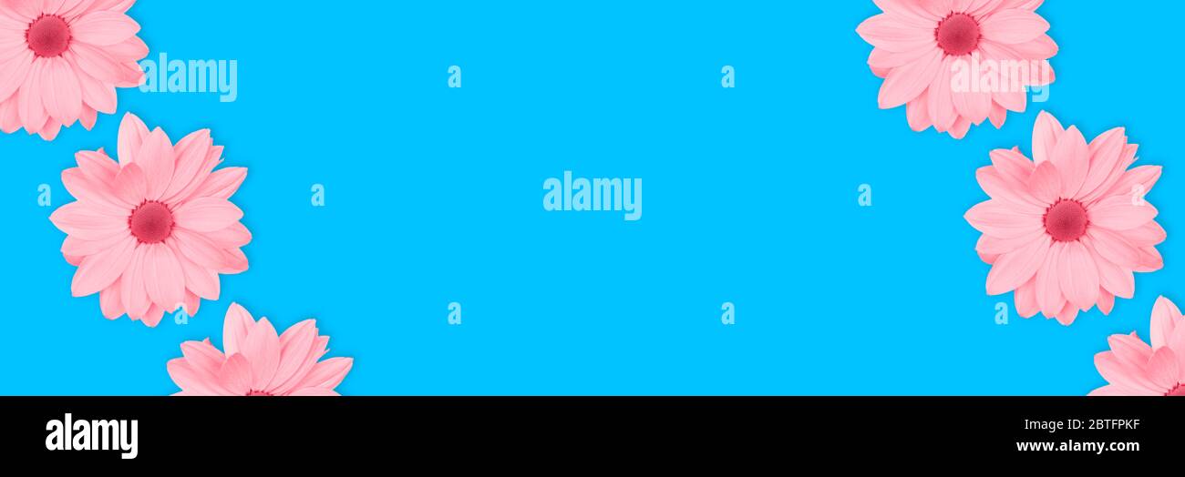 Floral Tumblr Header