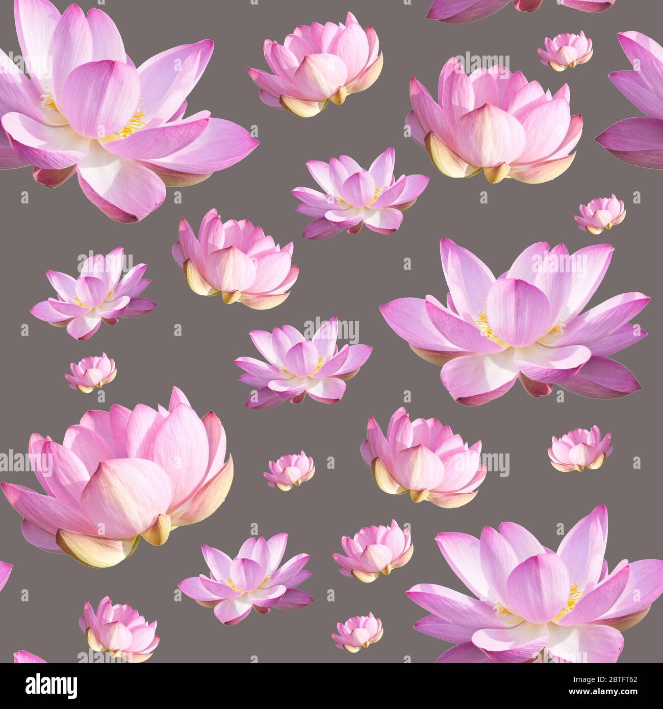 Indian painting lotus hi-res stock photography and images - Alamy