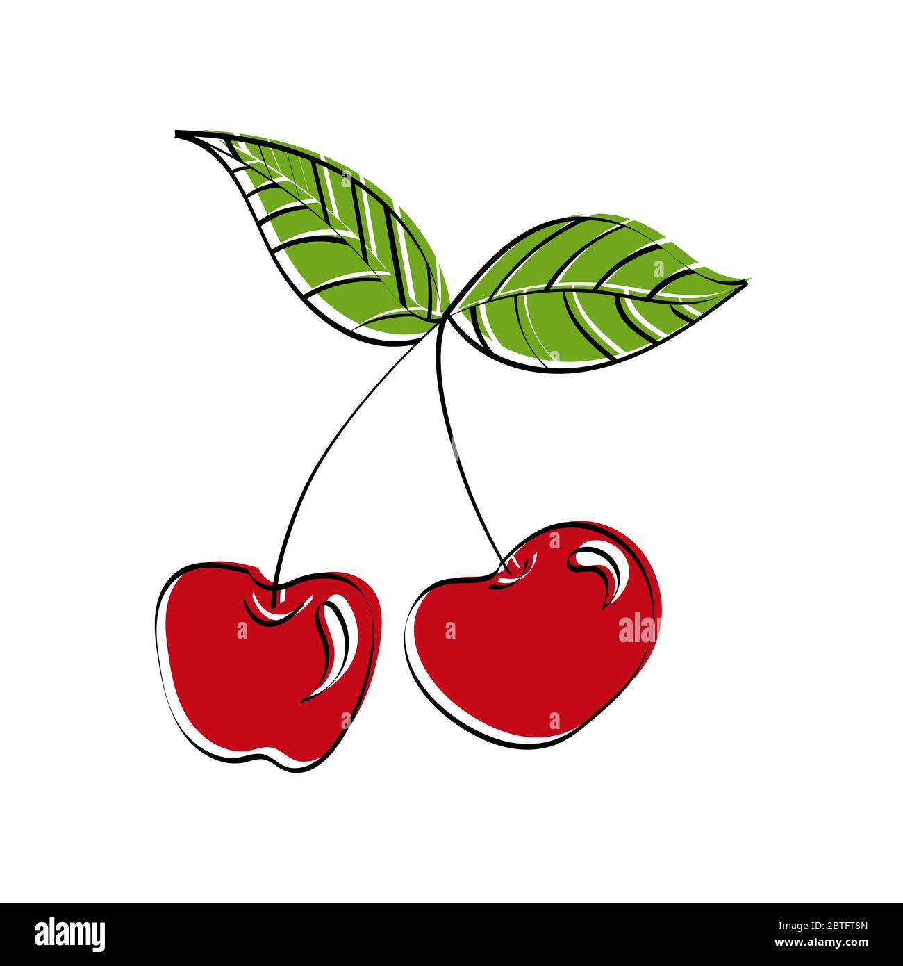 Cherry. Vector color hand drawn illustration isolated on a white ...