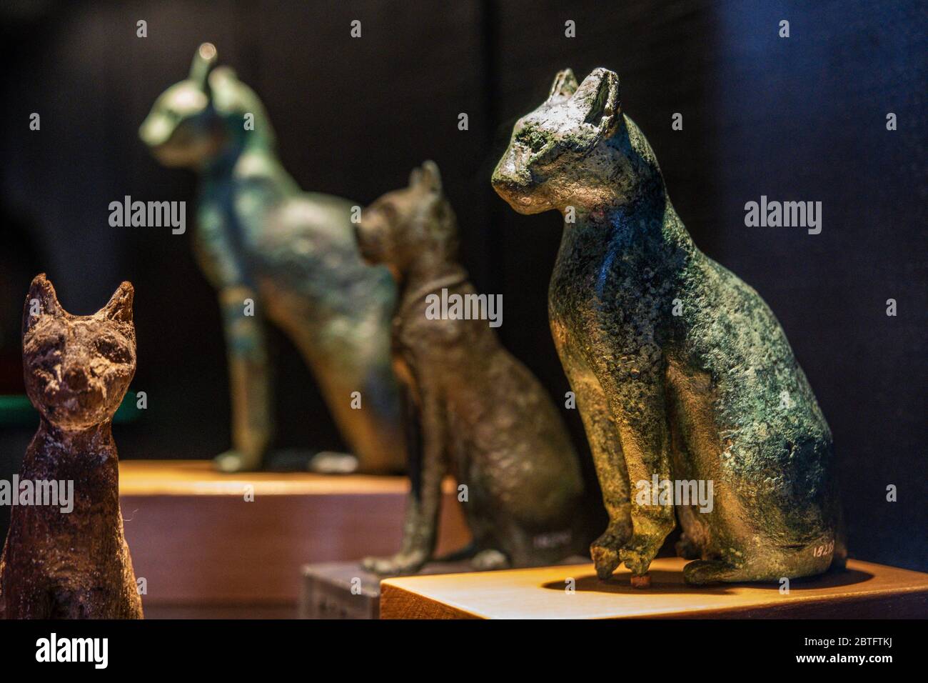 votive vows, which contained a cat mummy, Gregorian Egyptian Museumn ...