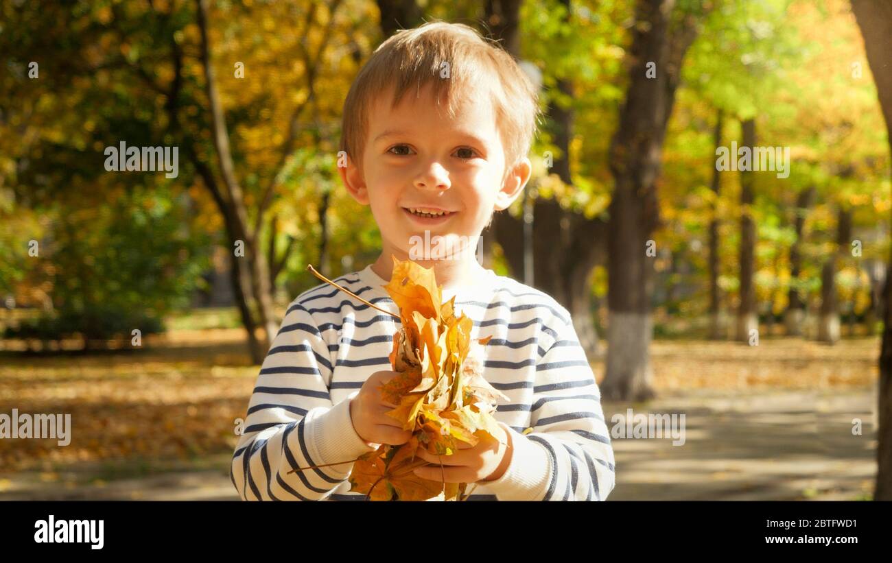Boy touching tree in forest hi-res stock photography and images - Alamy