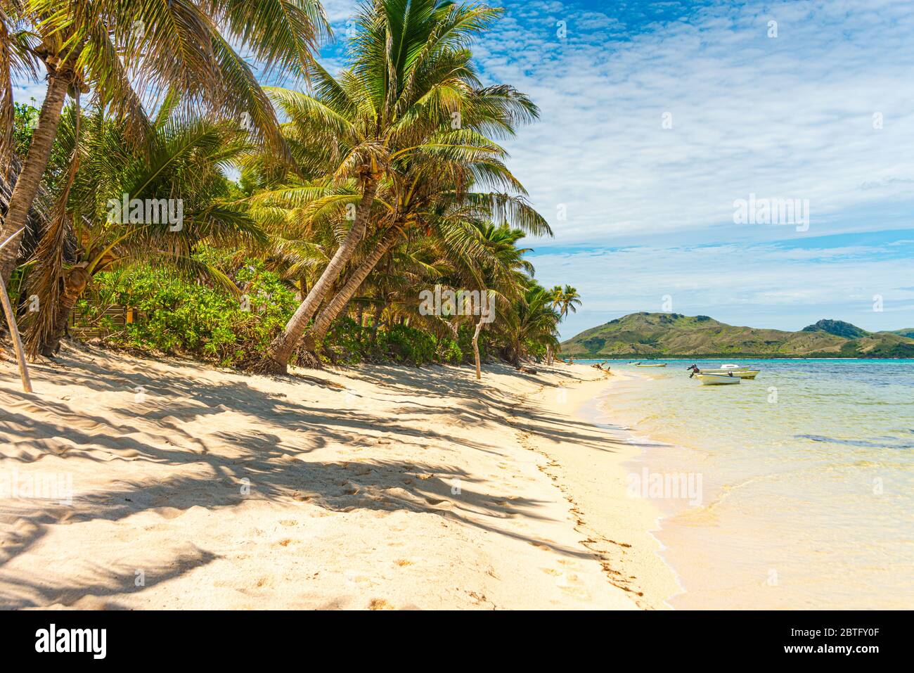 view along a white sandy beach with palm trees and flotsam Stock Photo ...