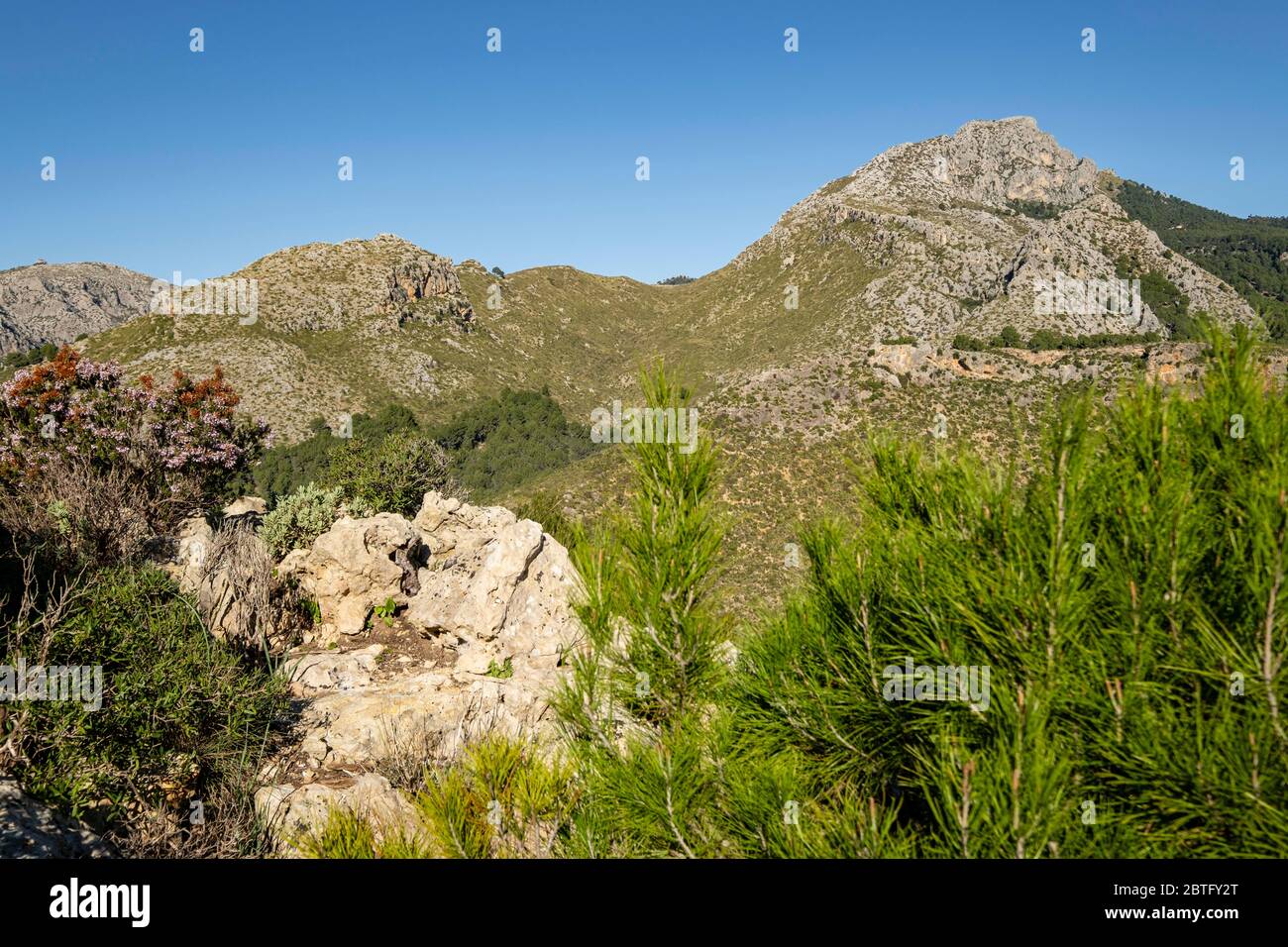 Puig De Galatz
