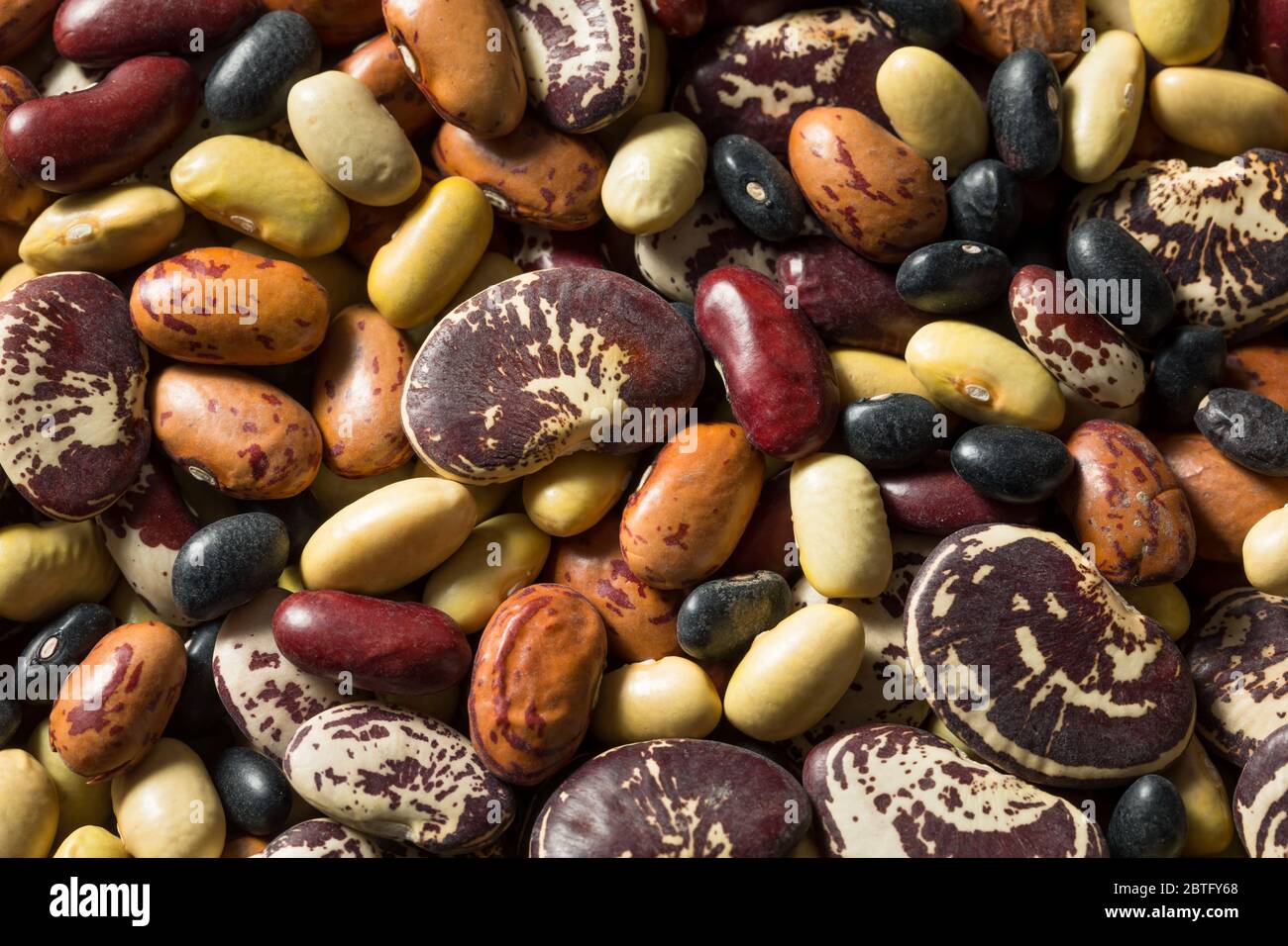 Raw Dried Organic Bean Assortment Ready to Cook Stock Photo - Alamy