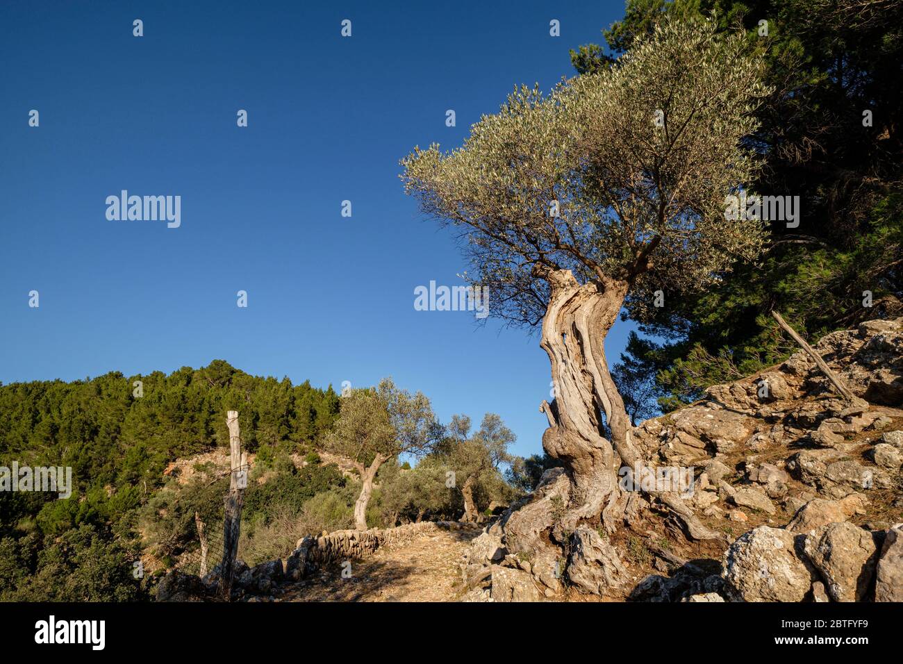 Son rullan hi-res stock photography and images - Alamy