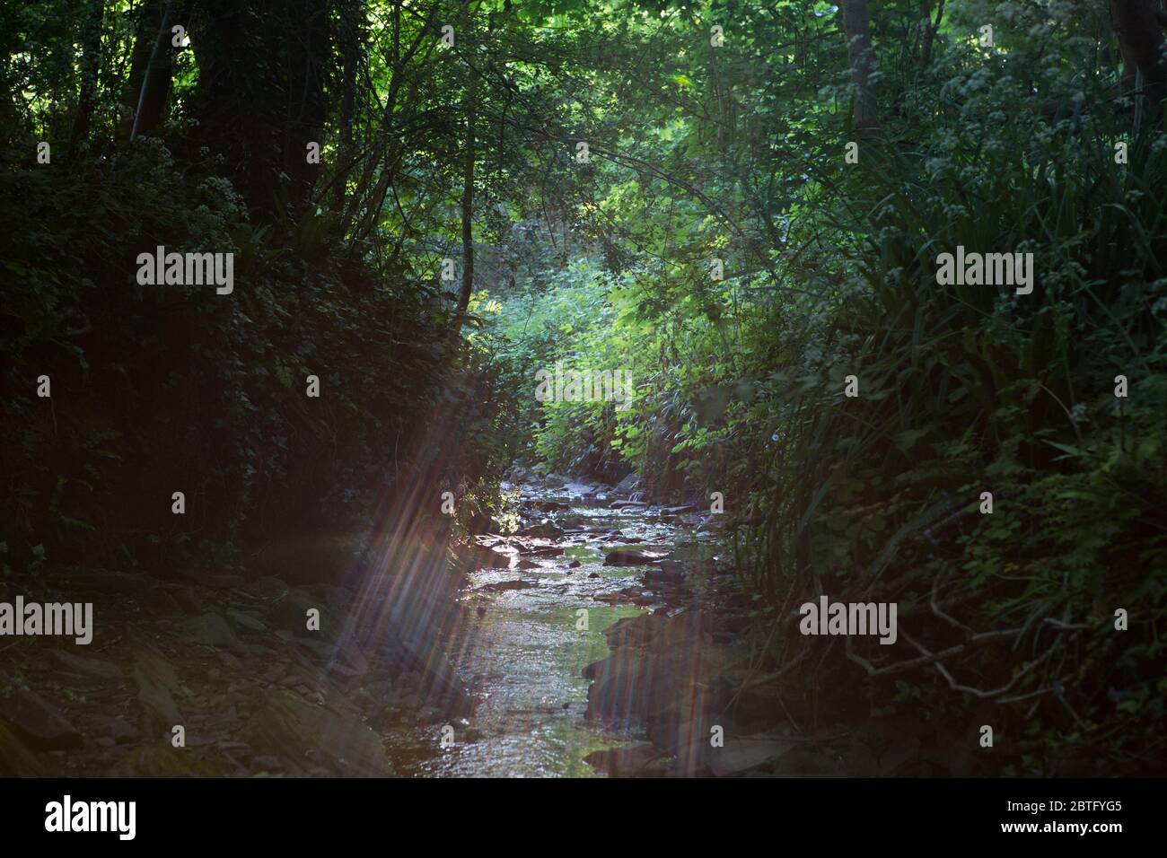 Light rays stream over hi-res stock photography and images - Alamy