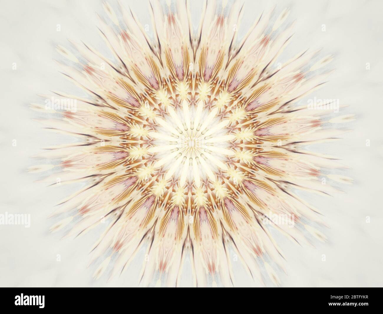 Abstract background with sacred geometry isolated in color background ...
