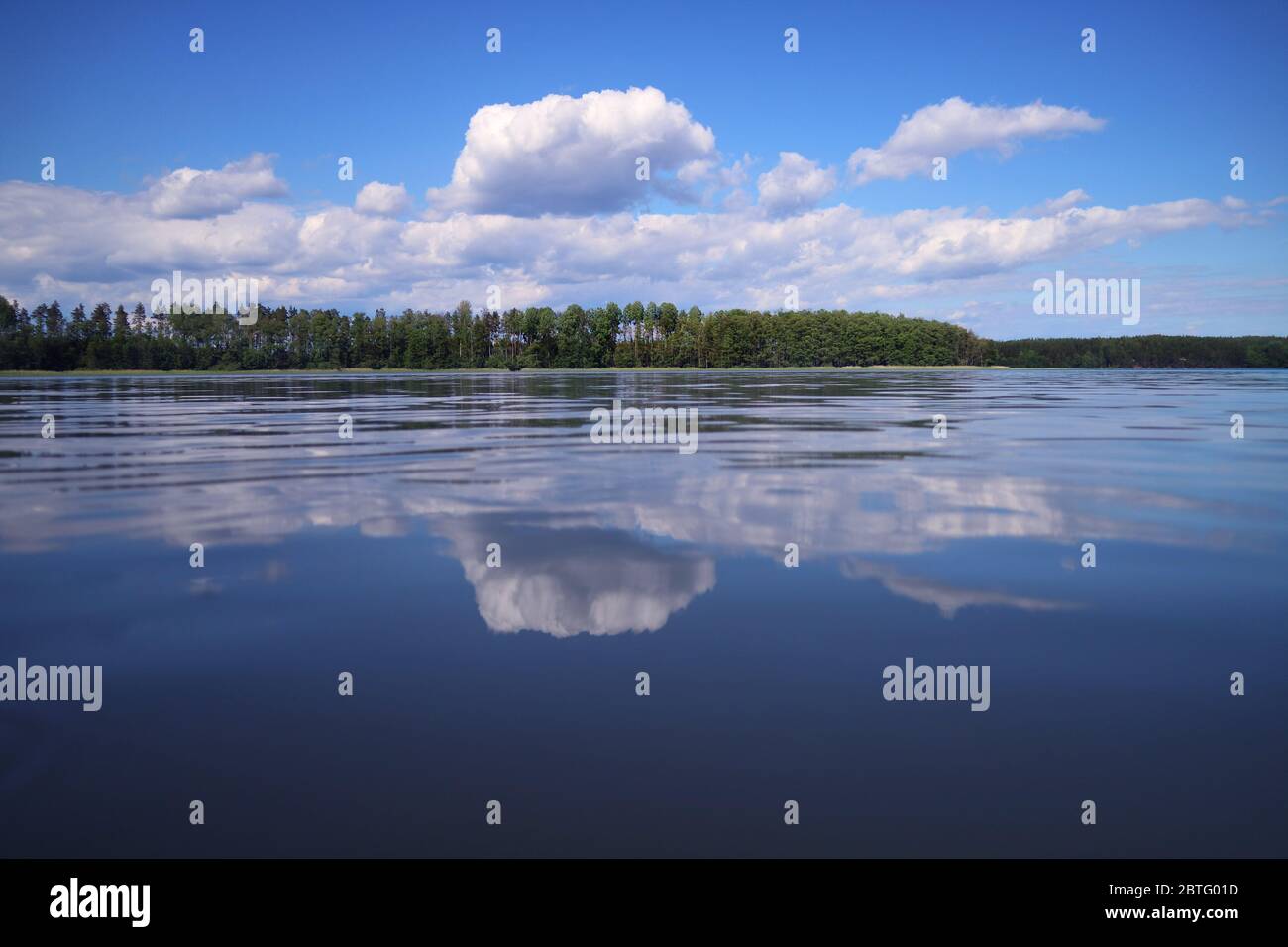 Trees reflected on the surface of lake hi-res stock photography and ...