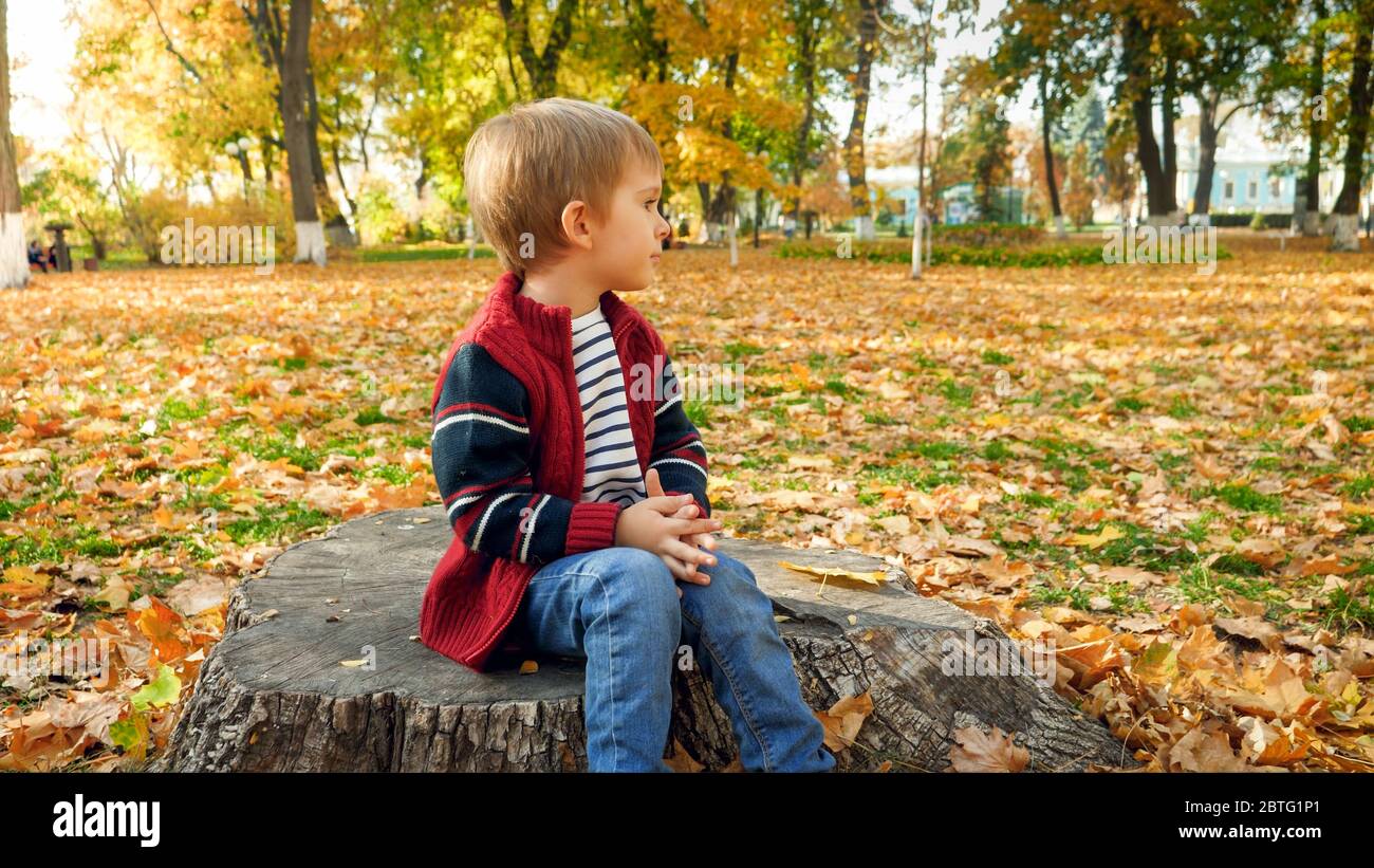 Portrait of little sad boy sitting on tree stump at autumn park Stock ...
