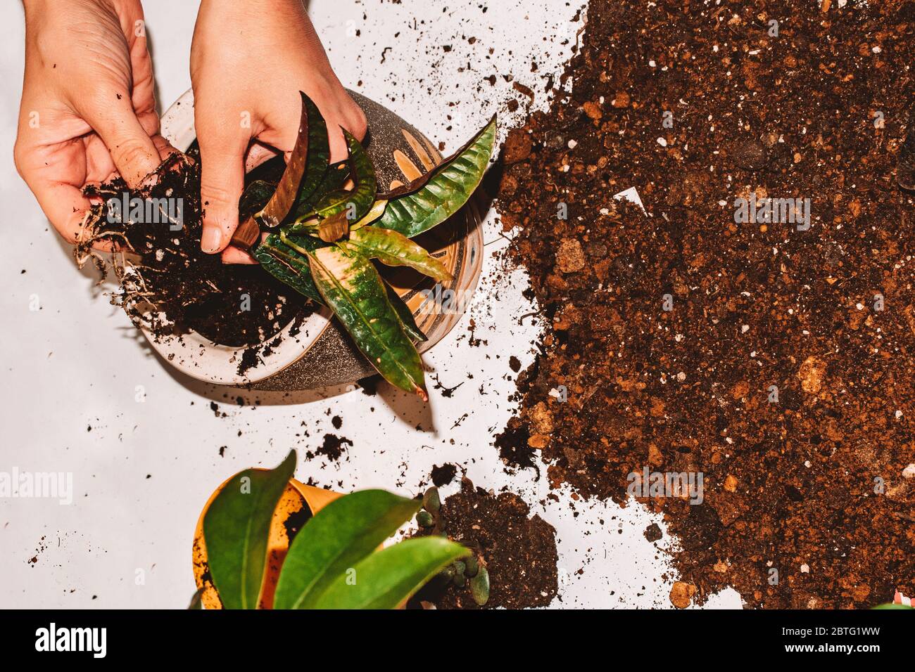 Soil renewal hi-res stock photography and images - Alamy