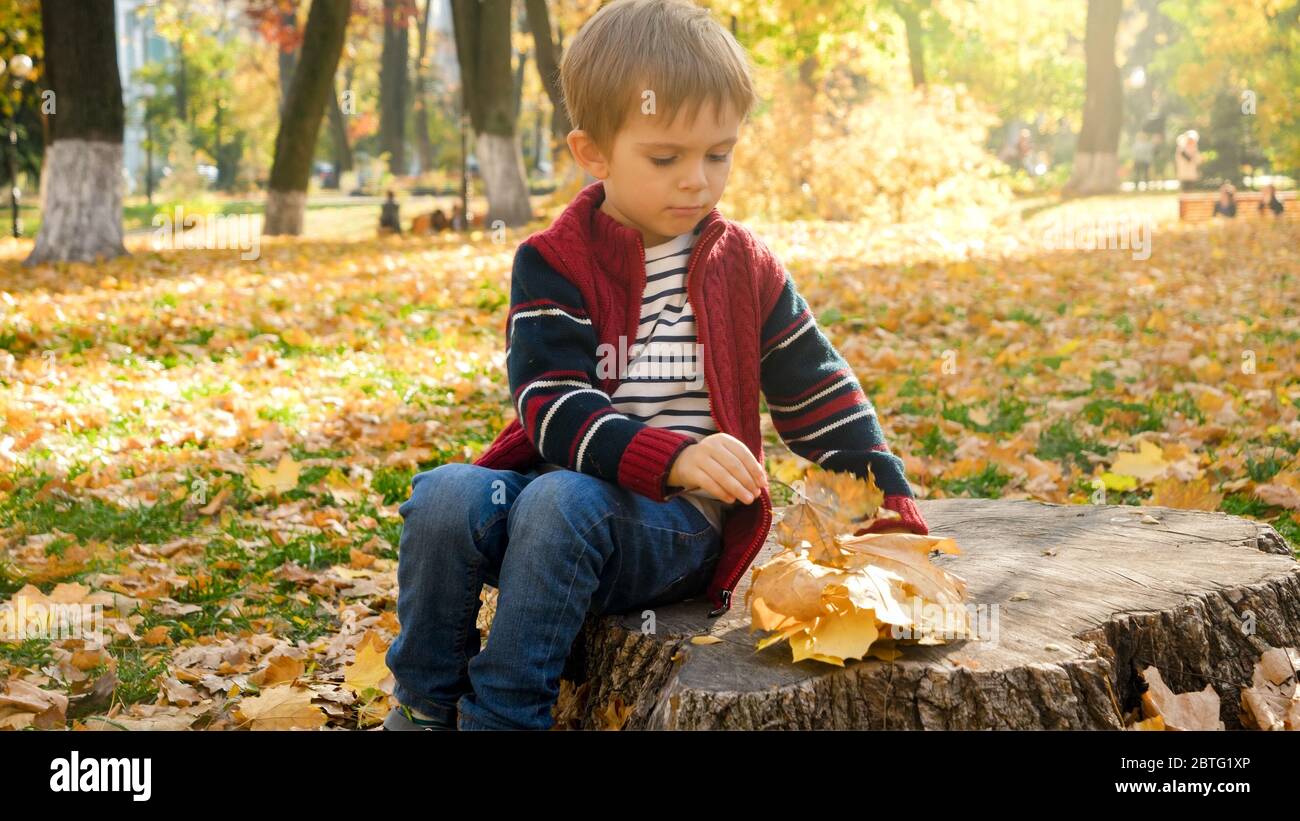 ADorable little boy sitting on tree stump at autumn park Stock Photo ...