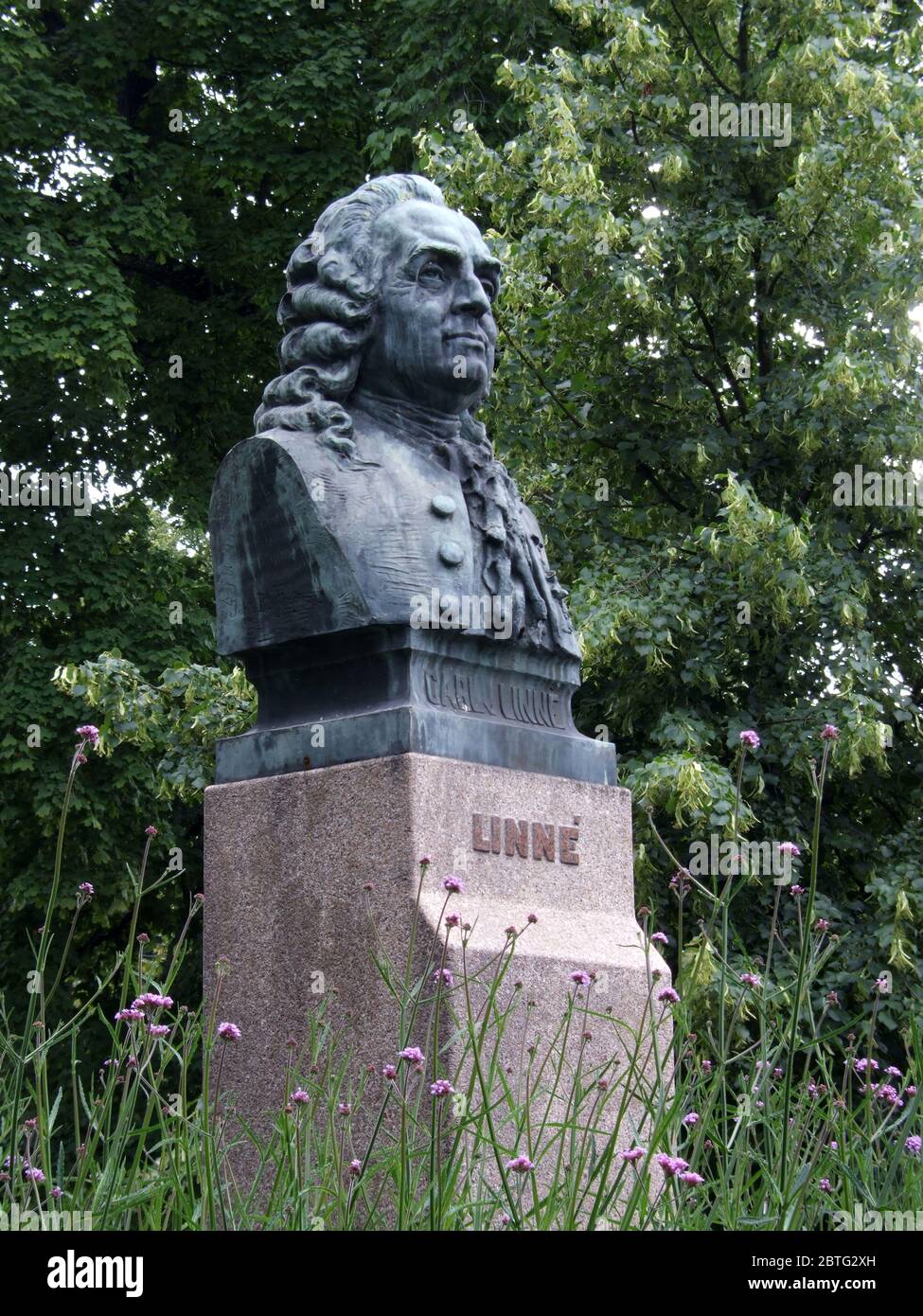 Statue of Linnaeus, Vaxjo, Sweden Stock Photo - Alamy
