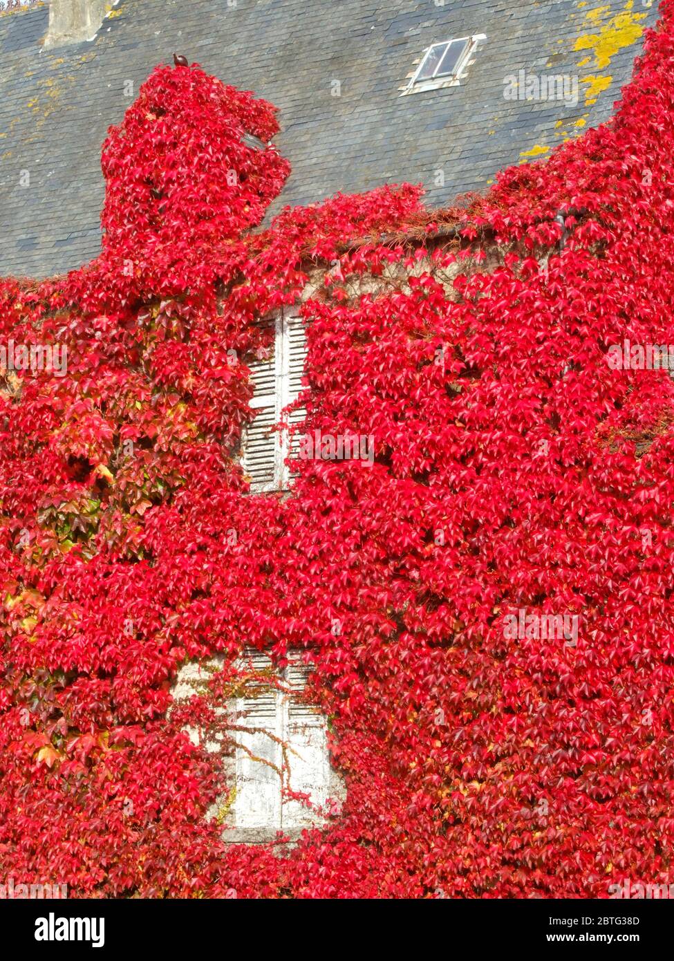 Carentan france hi-res stock photography and images - Alamy