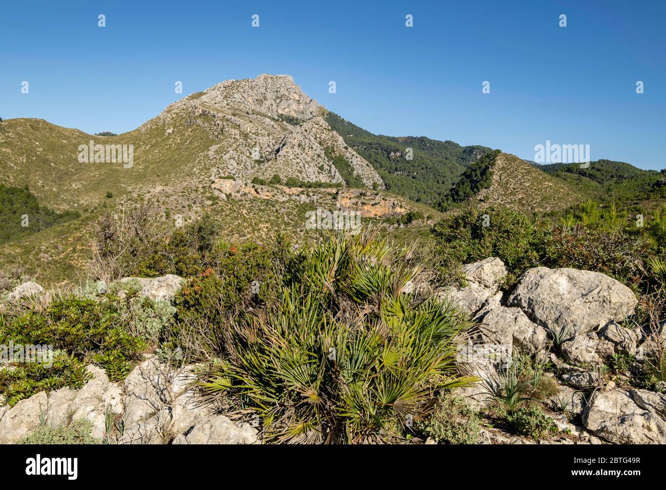 Puig De Galatz