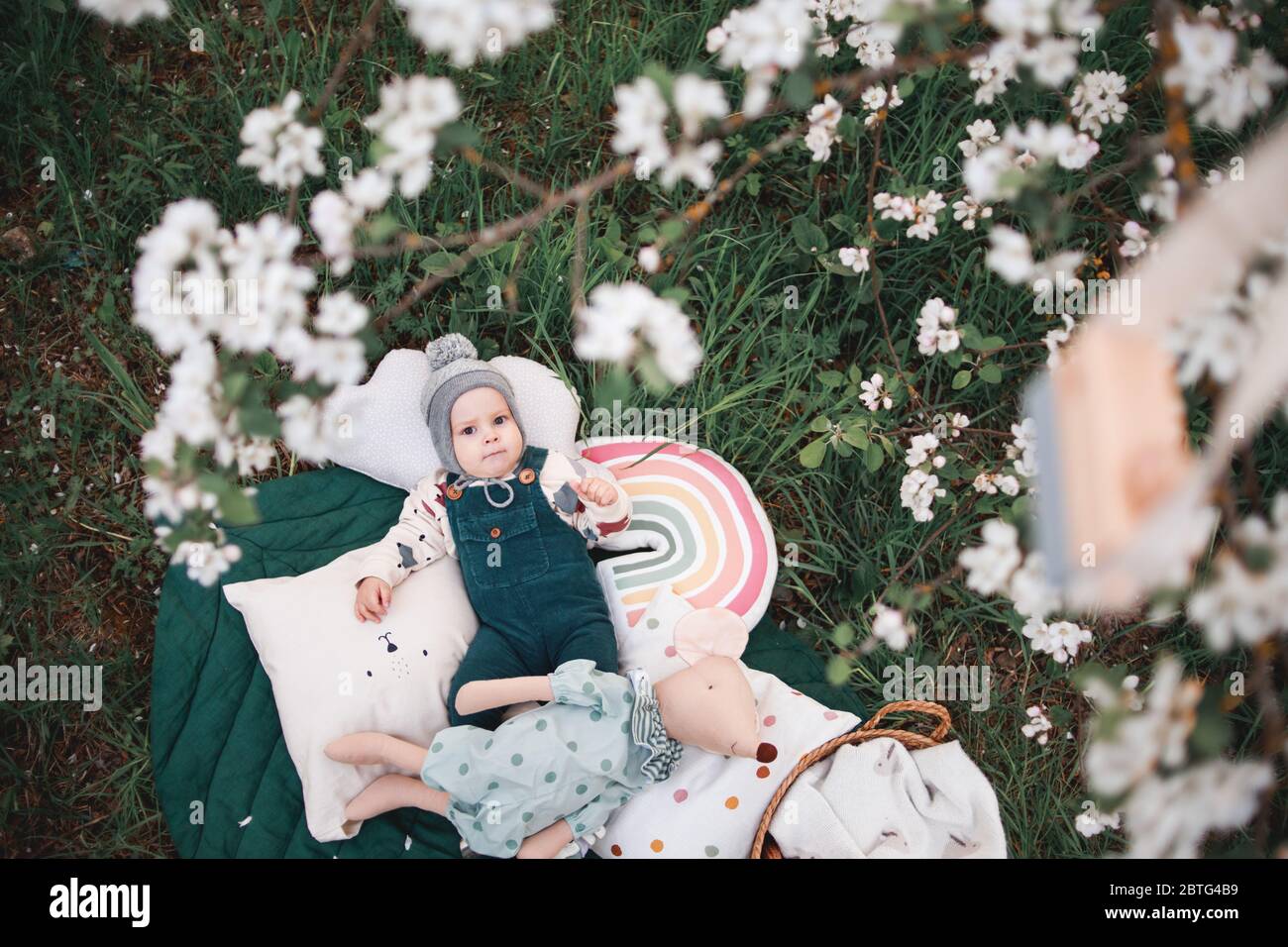 Boy Under Apple Tree High Resolution Stock Photography and Images - Alamy