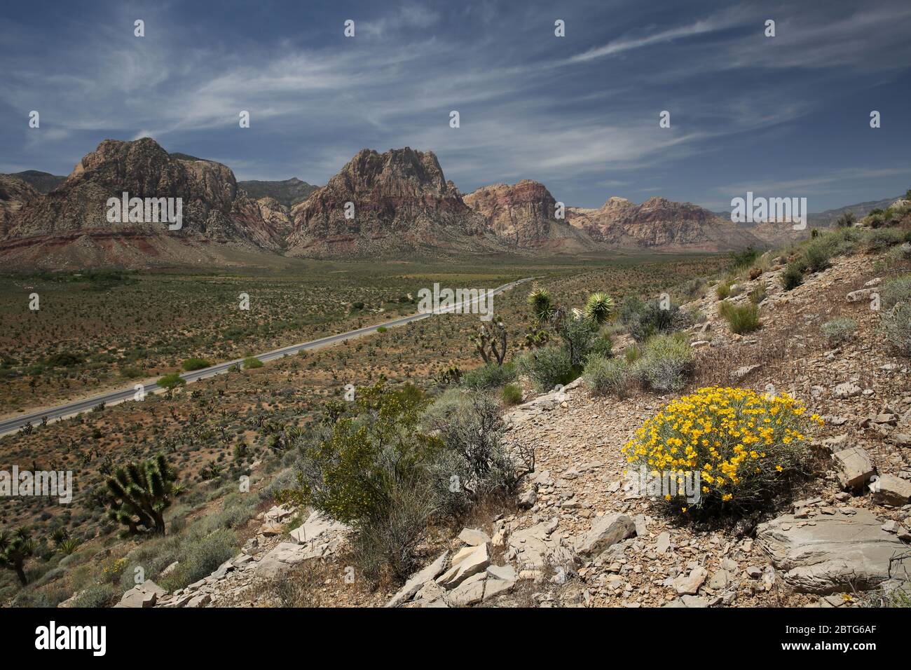 Landscape in Red Rock Canyon National Conservation Area, Nevada, USA ...