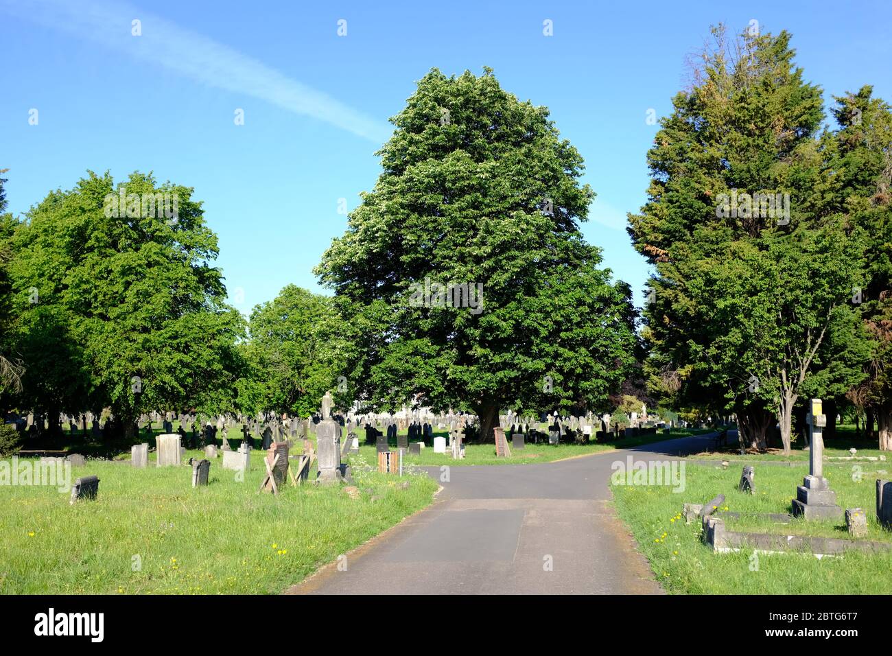 Streatham cemetery hi-res stock photography and images - Alamy
