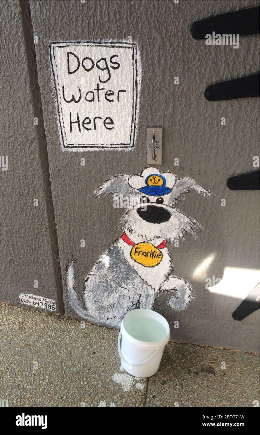 Practical animal care action with a drinking water station for dogs, in ...